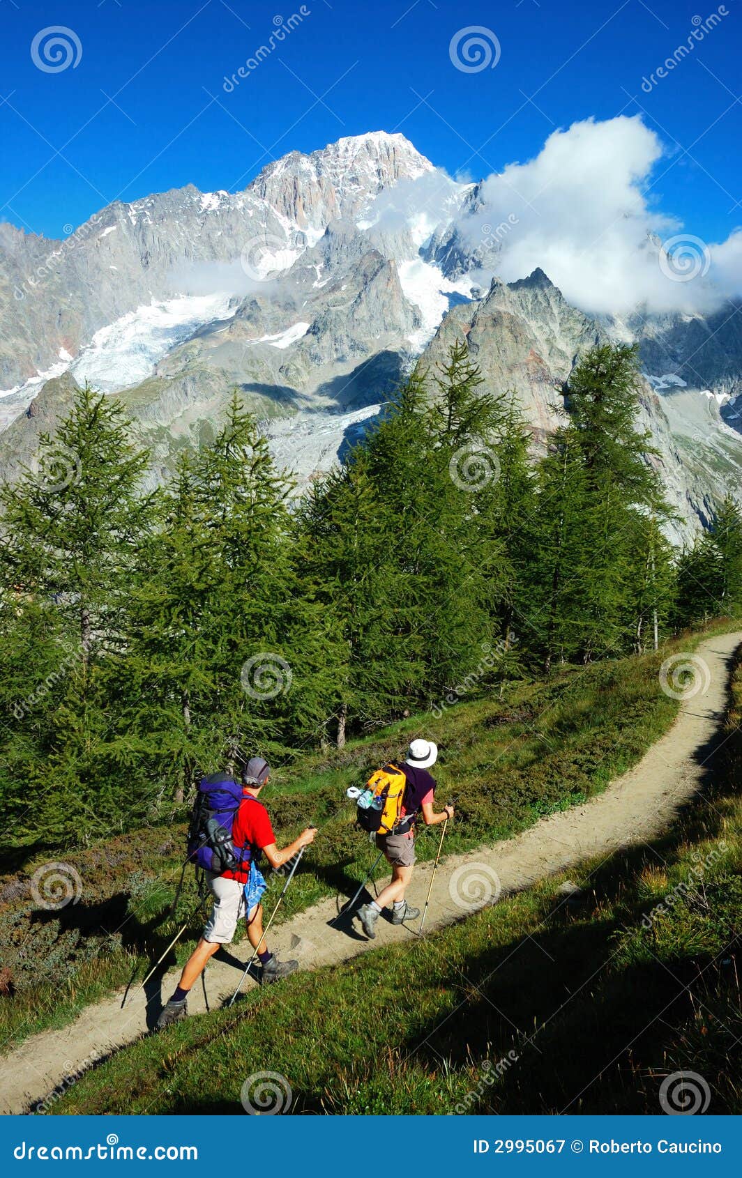 Trekkers stock image. Image of walking, people, back, path - 2995067