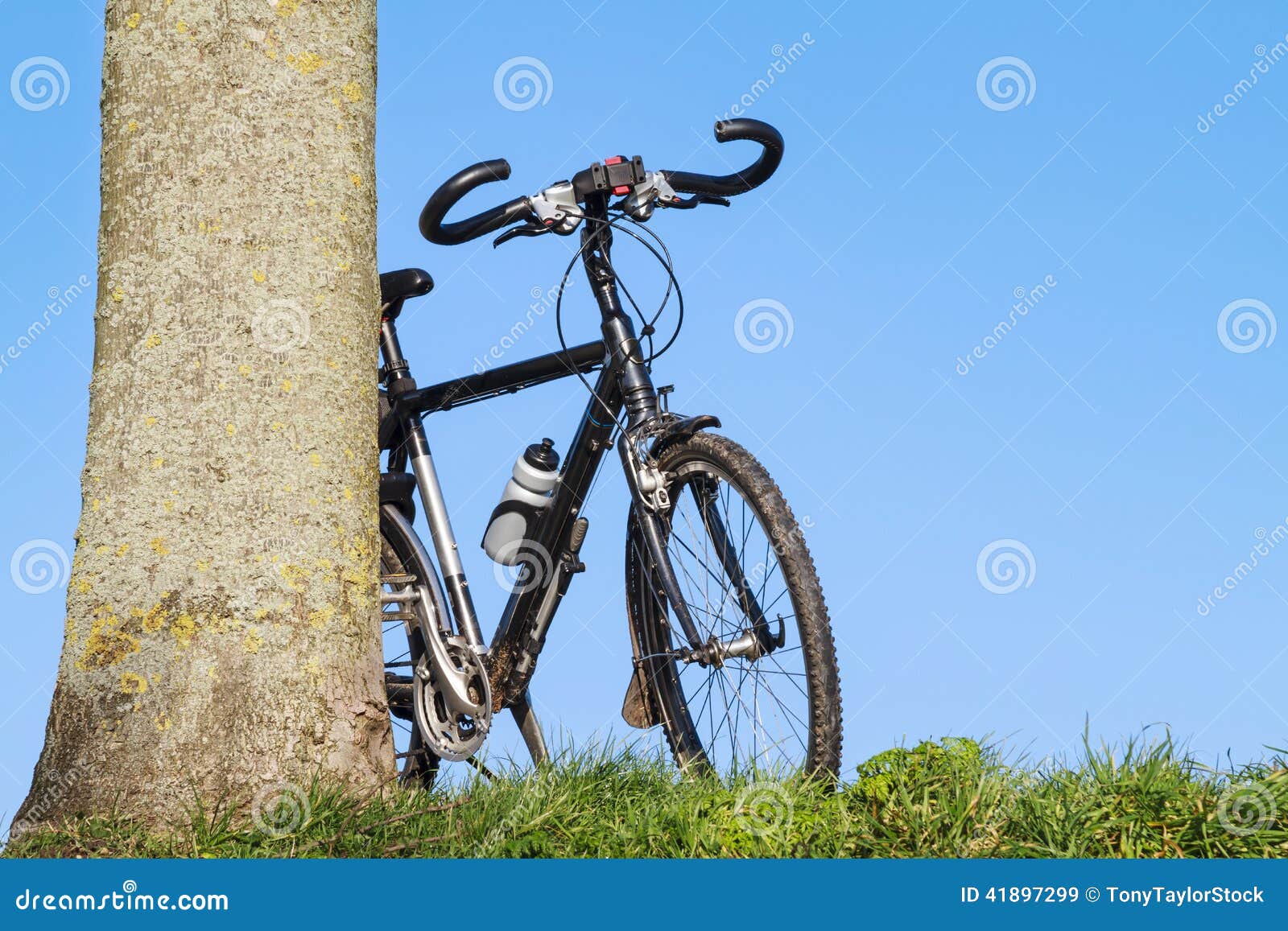 One Bike Is Leaning Against Trees And Tree Tunnels In Germany During ...