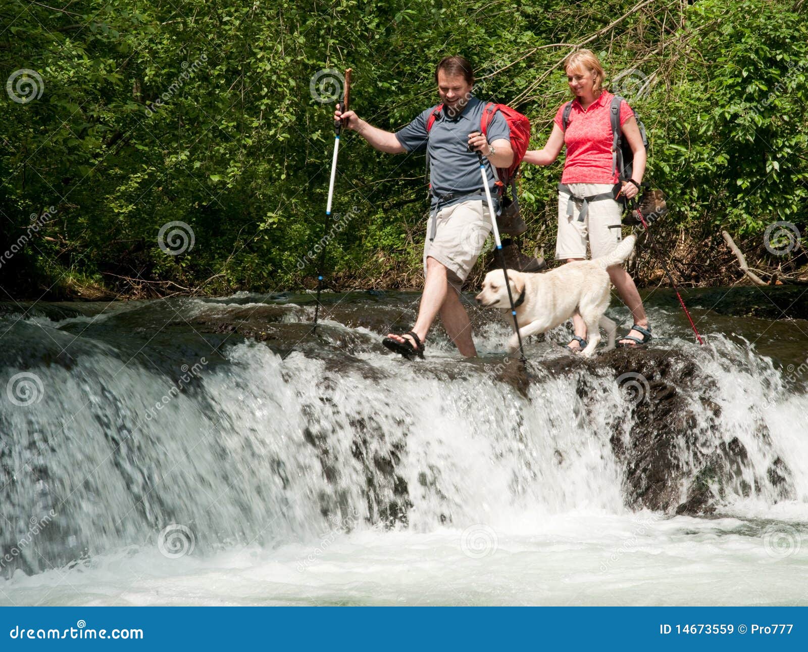 Trekking with dog stock image. Image of animal, hobbies - 14673559