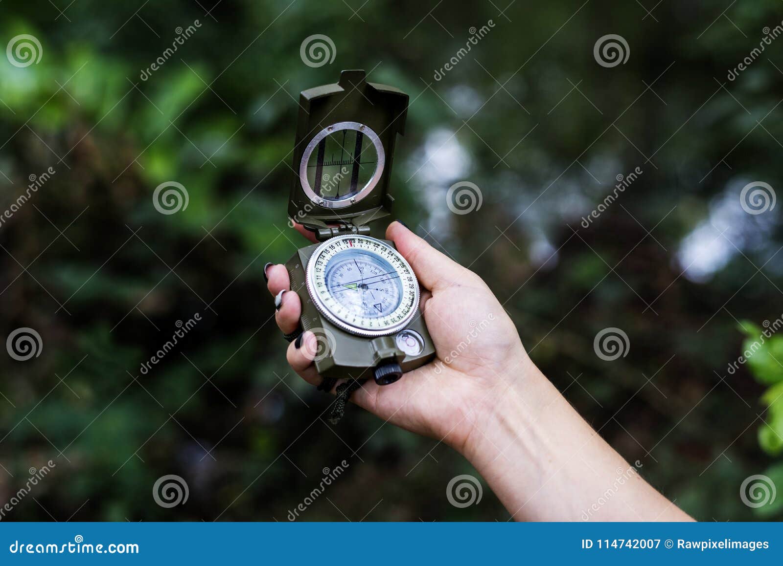 Trekking in a Forest with Compass Stock Image - Image of exploration ...