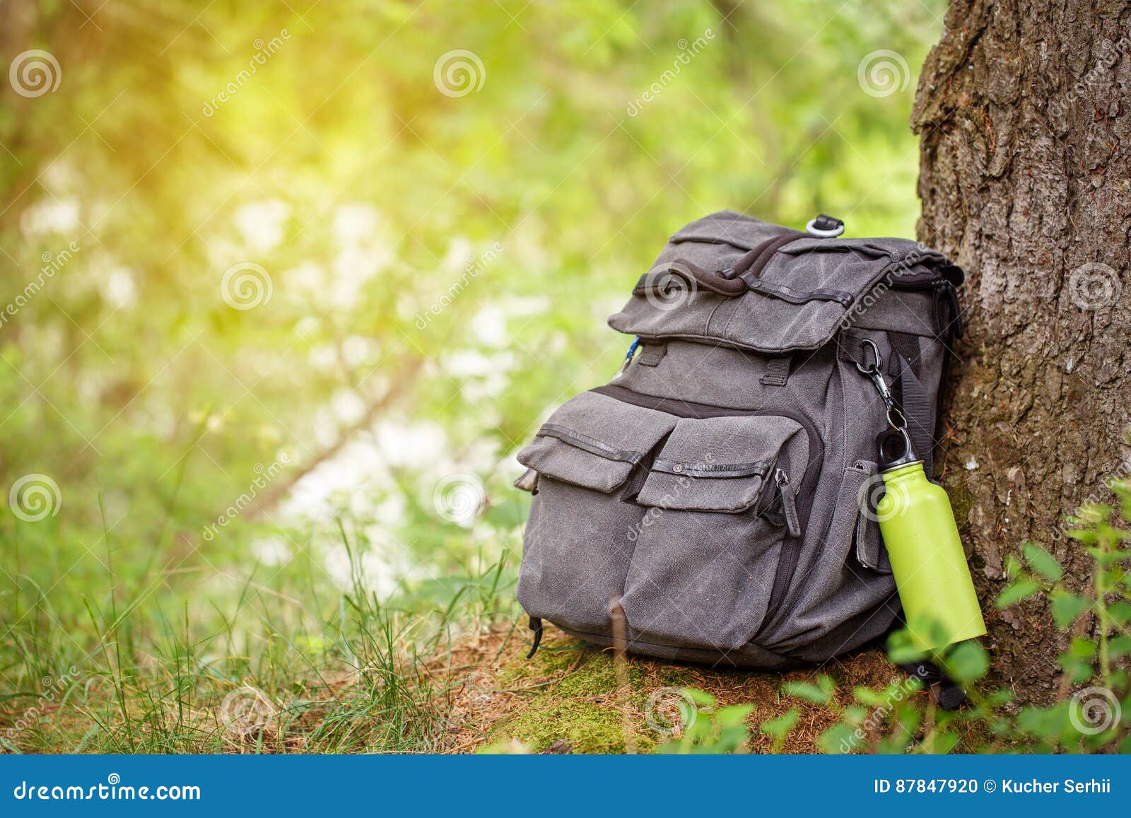 Trekking Heavy Backpack in Forest Stock Photo - Image of hiking ...