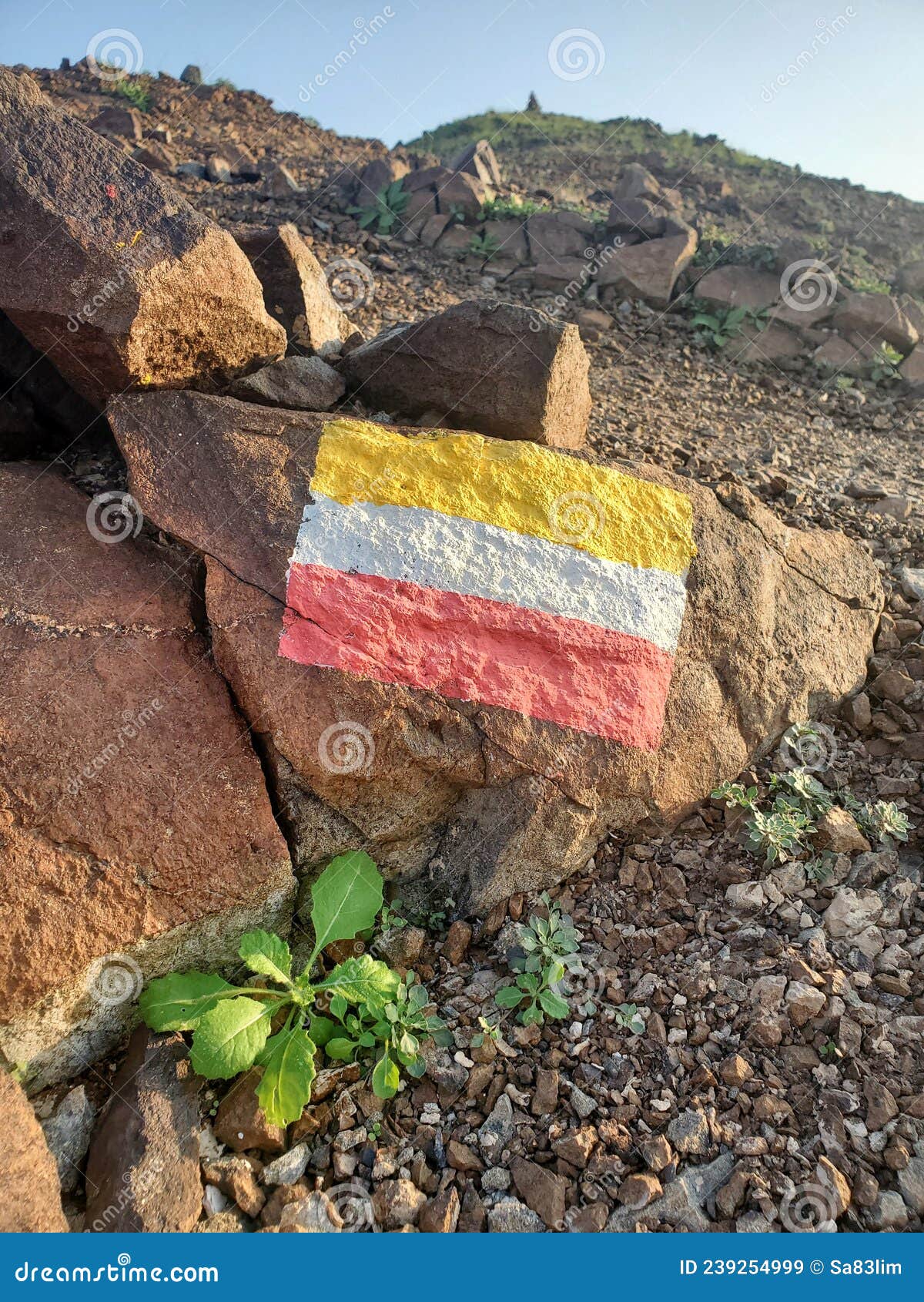 Flag Of Oman On Wooden Plate Background Grunge Omani Flag Texture