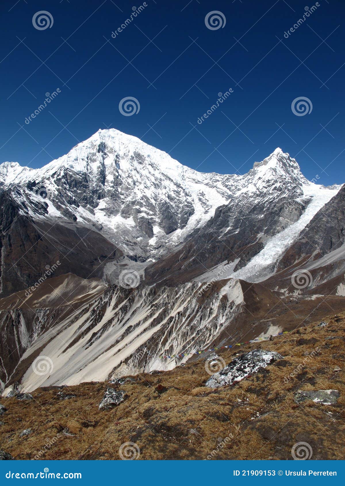 Trekking in the Himalayas stock image. Image of kyanjing - 21909153