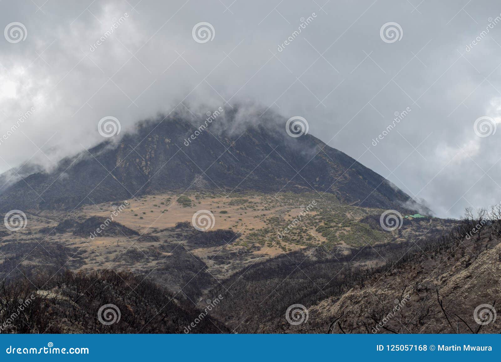 Trekking Le Mont Meru, Tanzanie Photo stock - Image du stationnement ...