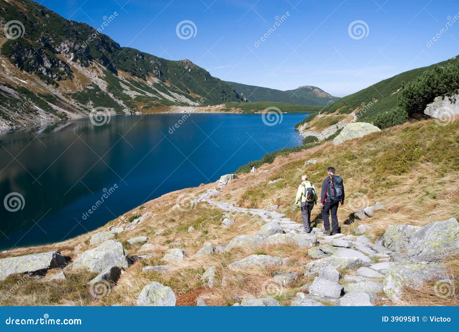 Trekking in mountains stock image. Image of pine, cloud - 3909581