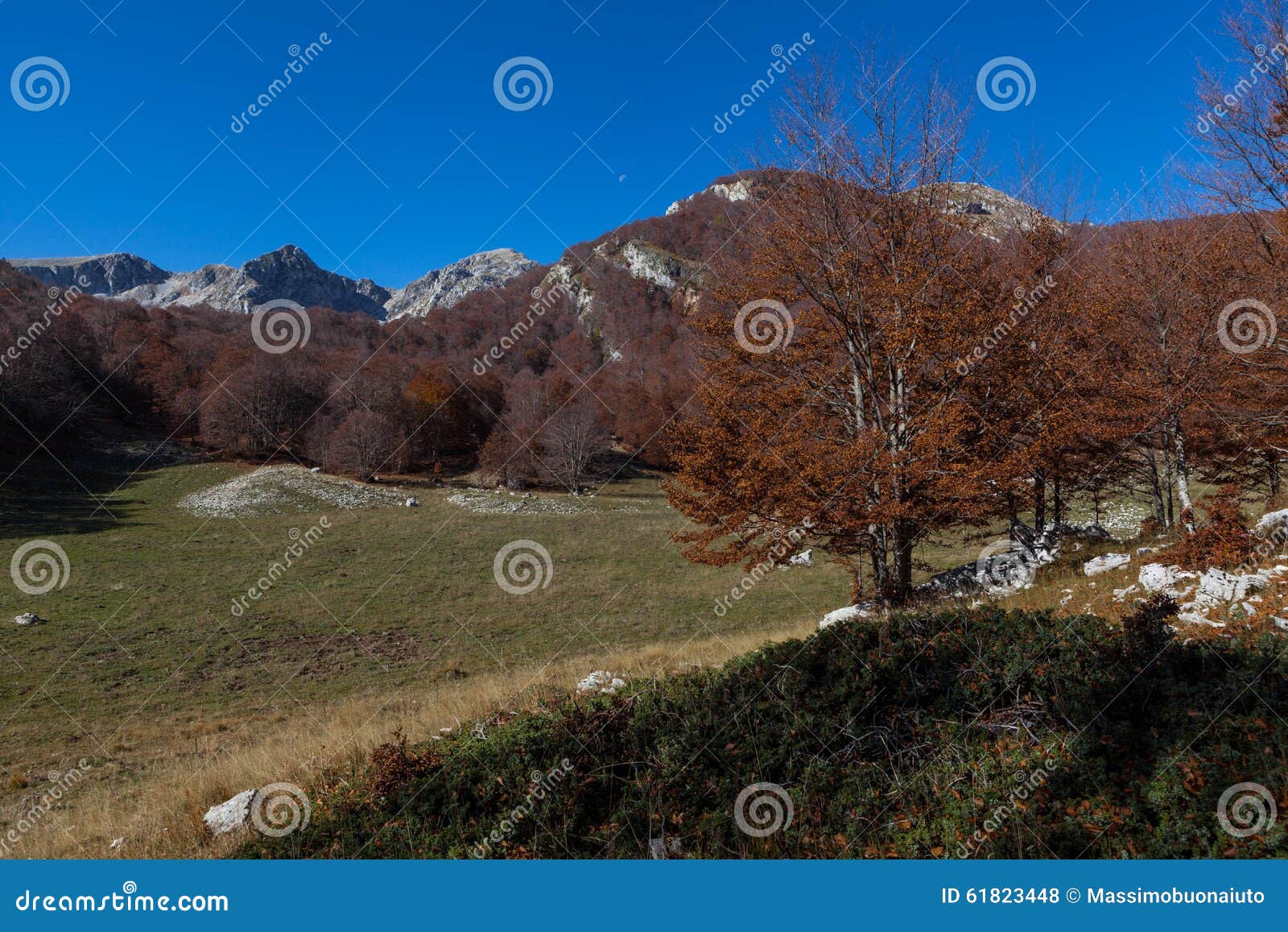 Trekking Parco Nazionale D Abruzzo Stock Photo - Image of highland ...