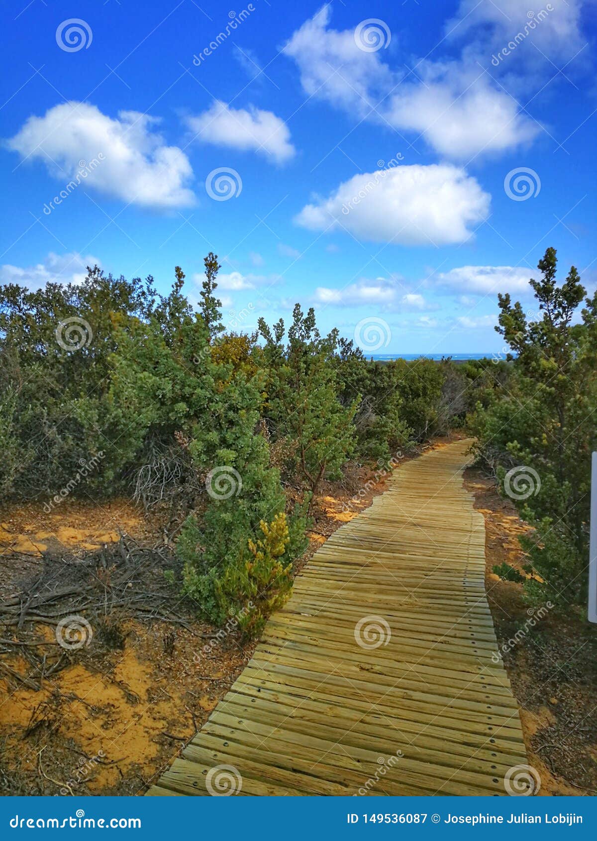 Trekking Path in the Pinnacle Desert, Perth, Australia. Stock Image ...