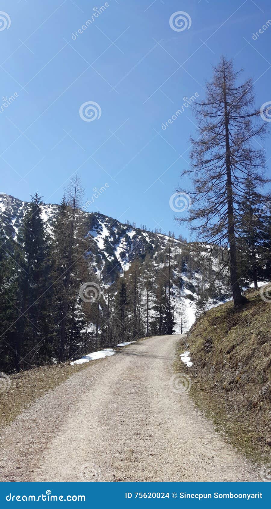 Trekking Route To Mount Jenner Stock Photo - Image of bavarian ...