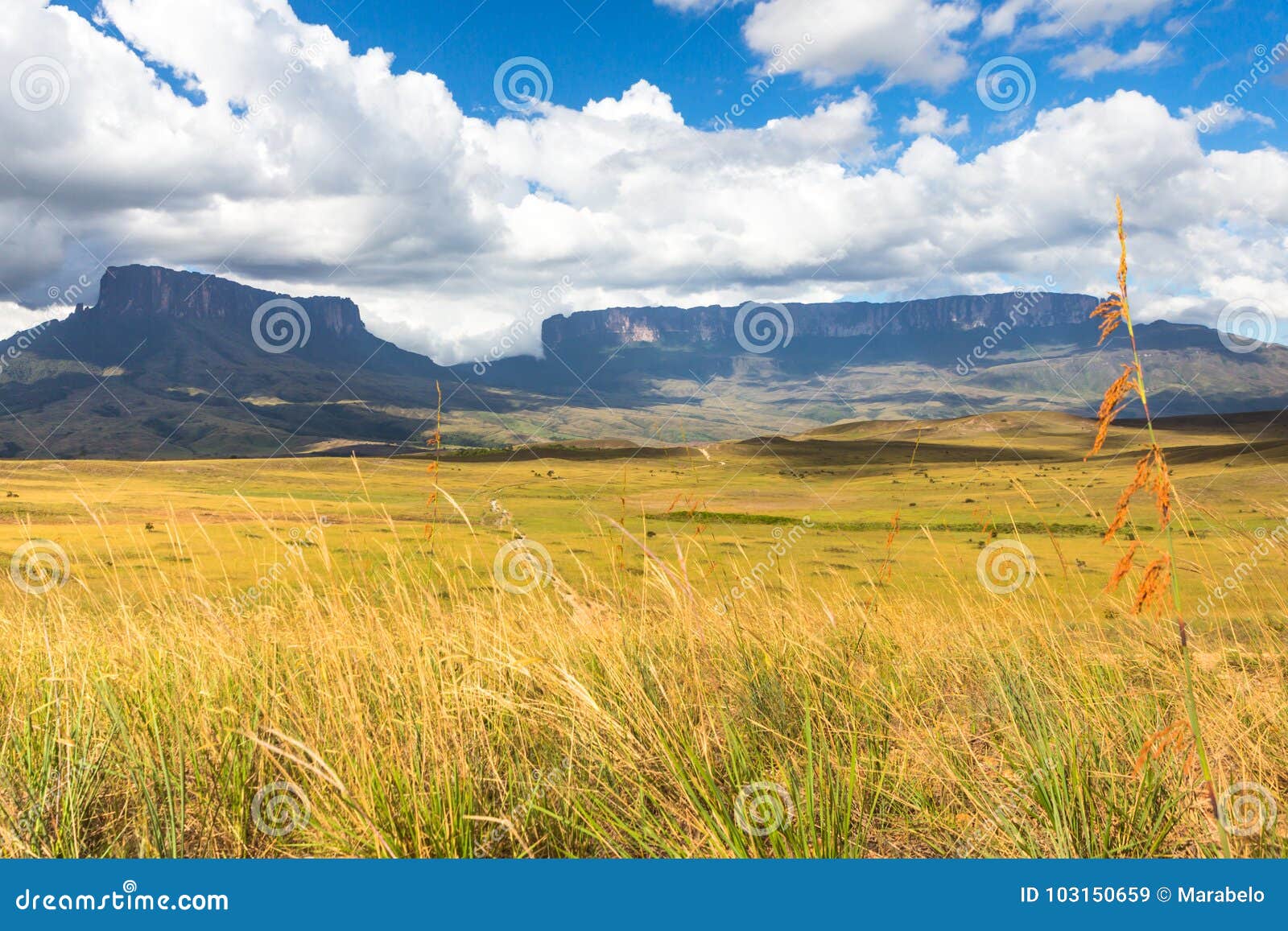 Trekkings-Berg Roraima stockbild. Bild von montierung - 103150659