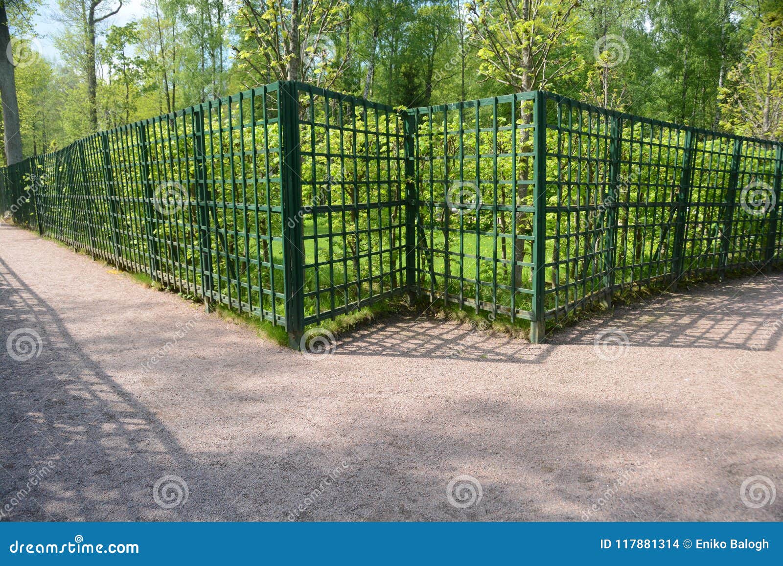 Trellis Covered Path in a Park Stock Photo - Image of russia, summer ...