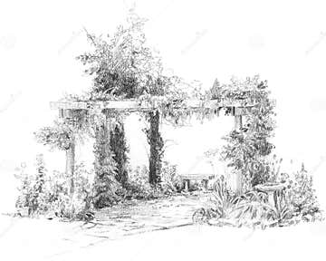 Trellis Drawing stock illustration. Illustration of trellis - 23122662