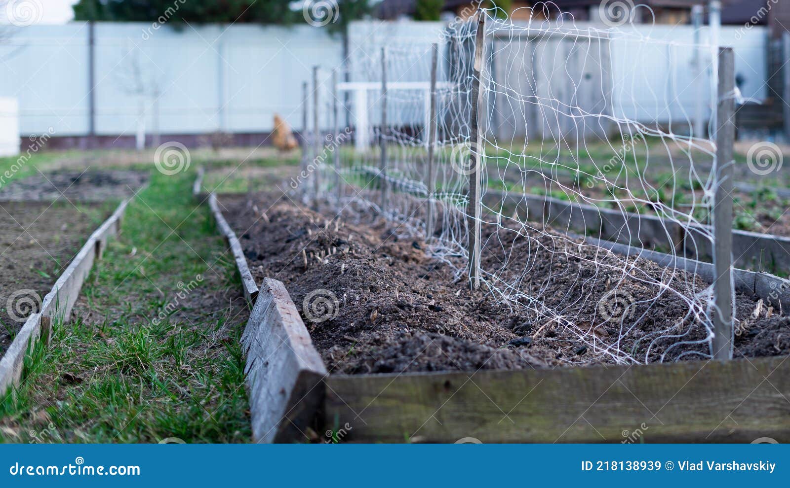 The Trellis Net is Stretched on an Empty Bed in the Evening Stock Image ...