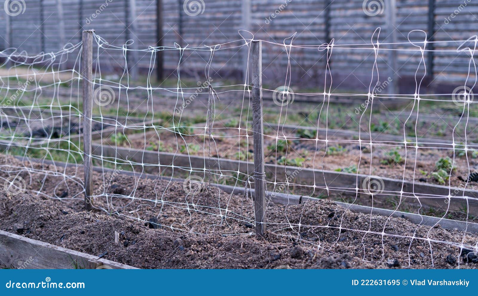 The Trellis Net is Stretched on an Empty Bed in the Evening Stock Image ...