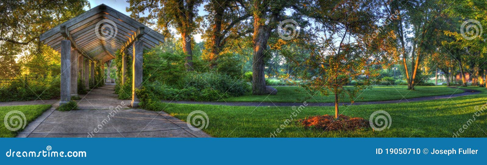Trellis in the park stock photo. Image of tree, grow - 19050710