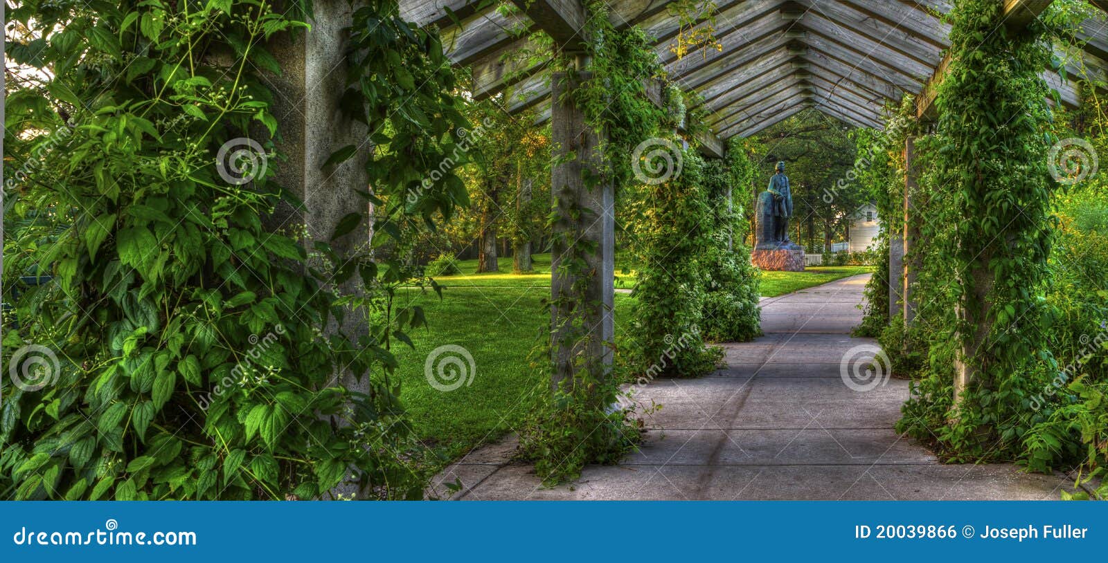 Trellis in the park stock photo. Image of bush, beautiful - 20039866