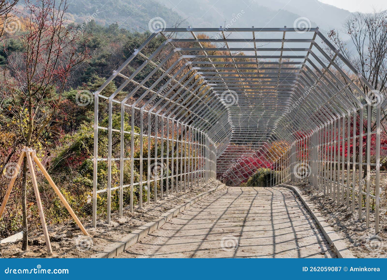 Trellised Tunnel Walkway in Park Stock Image - Image of environment ...