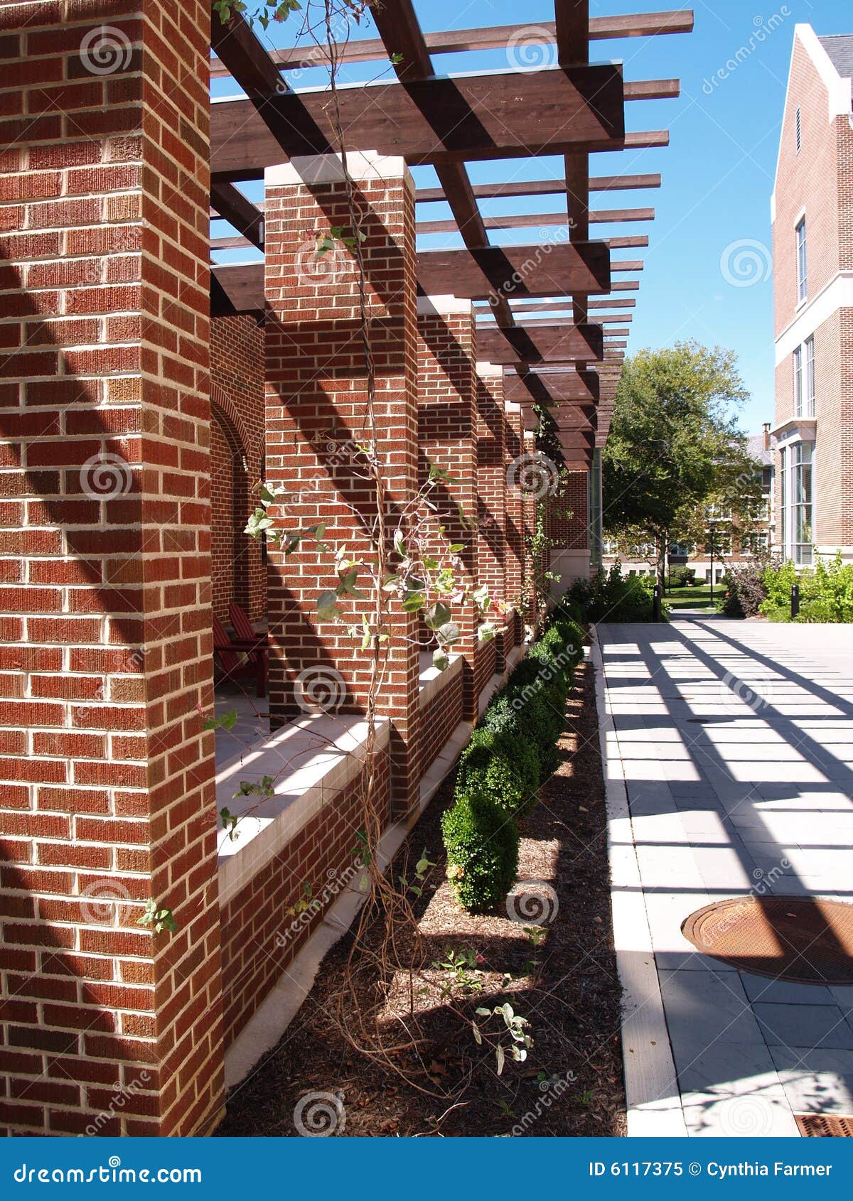 Trellised Walkway by Brick Building Stock Image - Image of shadows ...