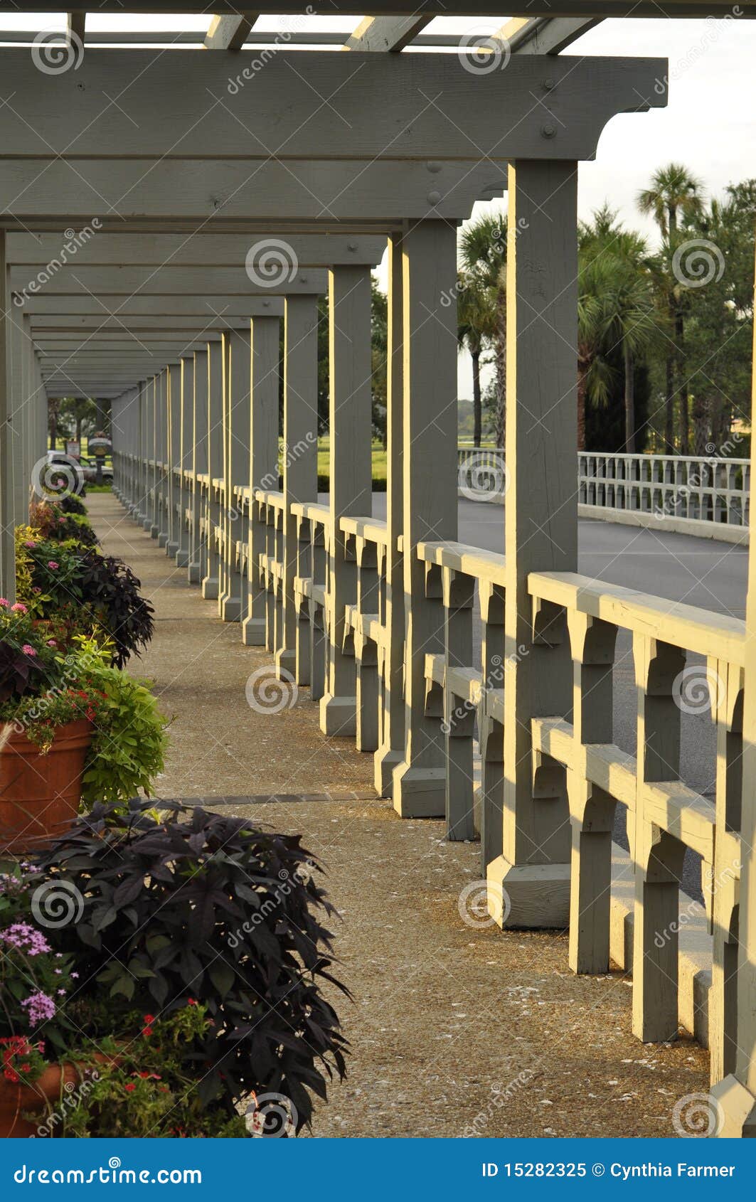 Trellised walkway at dusk stock image. Image of sidewalk - 15282325