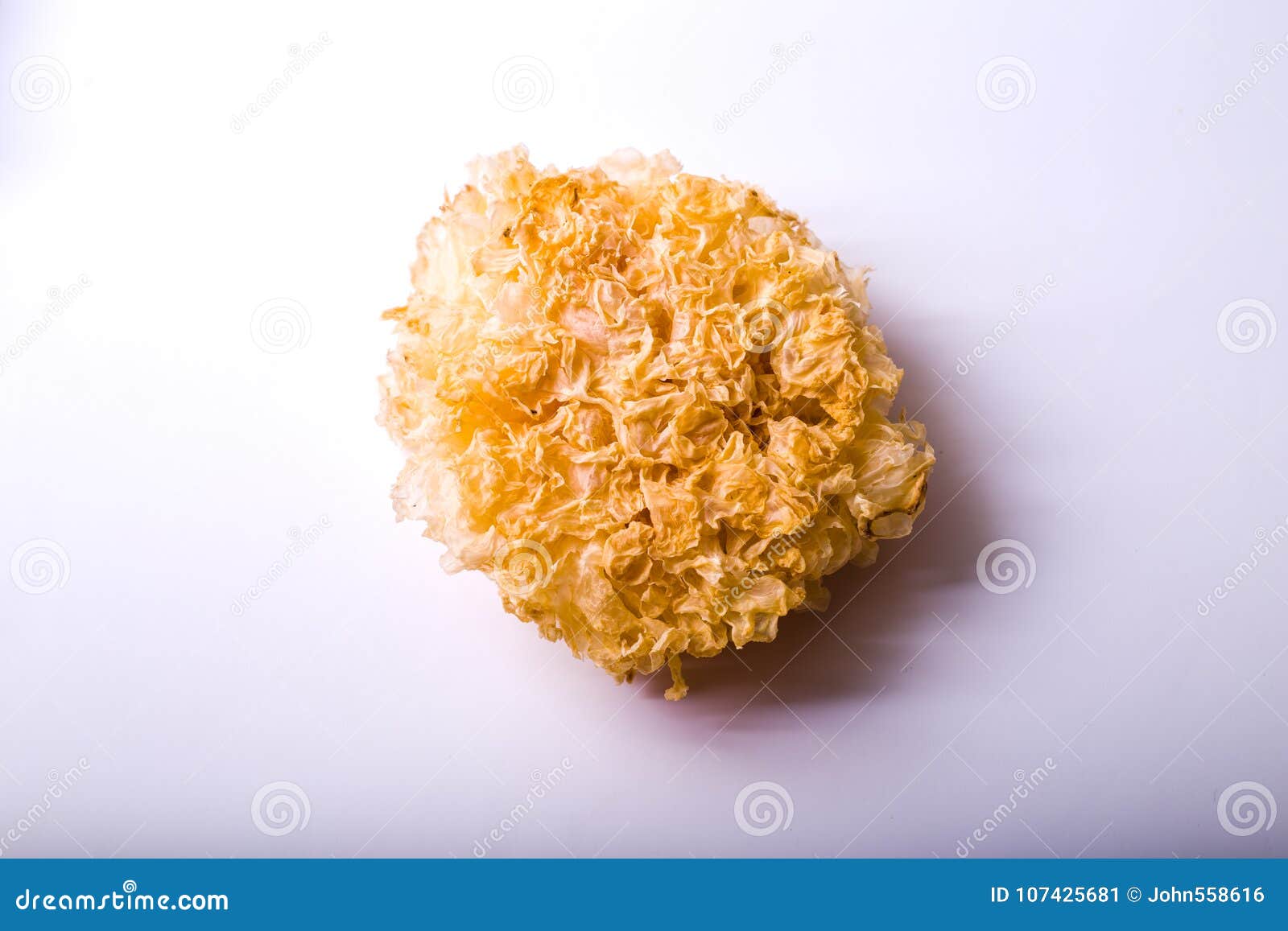 Tremella stock image. Image of health, medicinal, fungus - 107425681