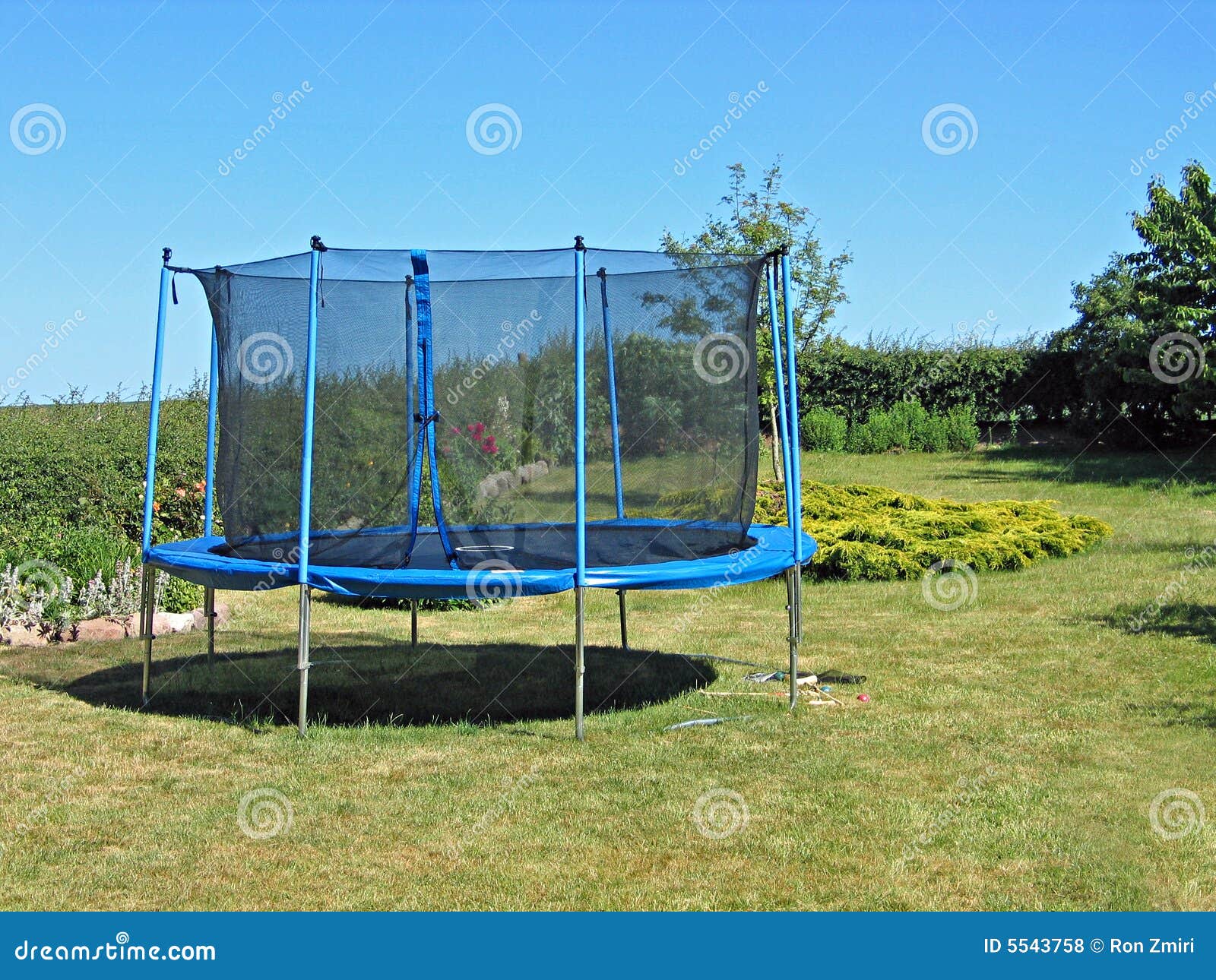 Tremplin dans un jardin photo stock. Image du jardin, récréationnel ...