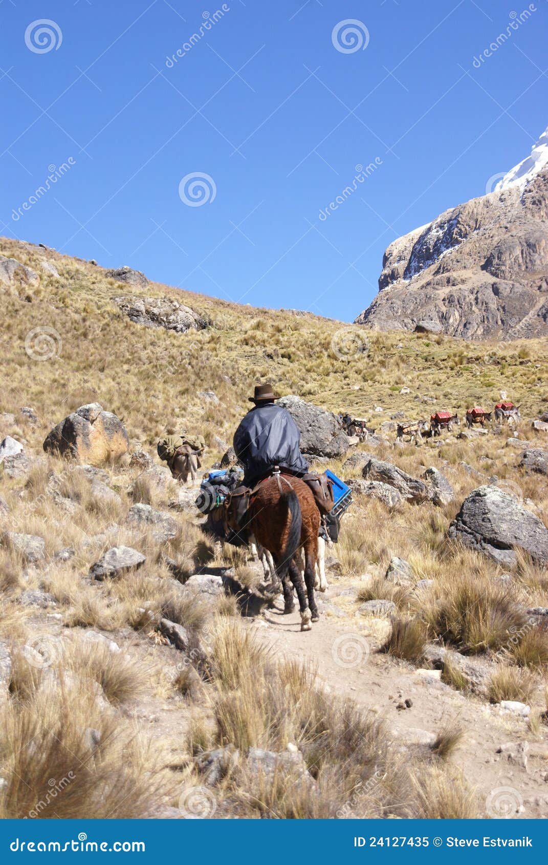 Tren De La Mula, Cargas Que Llevan Imagen de archivo - Imagen de ...