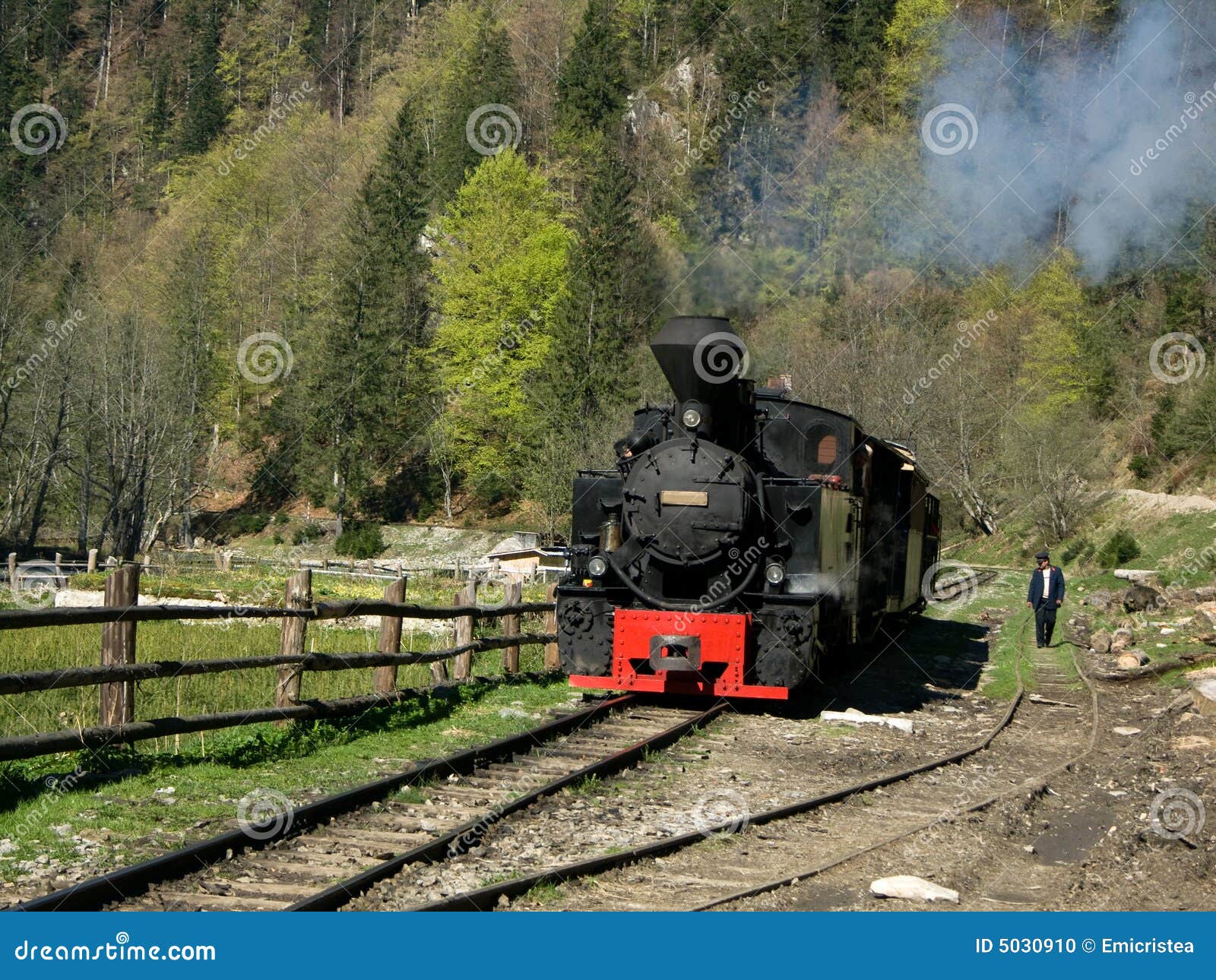 Tren De Mocanita En El Valle De Vaser Foto de archivo - Imagen de ...