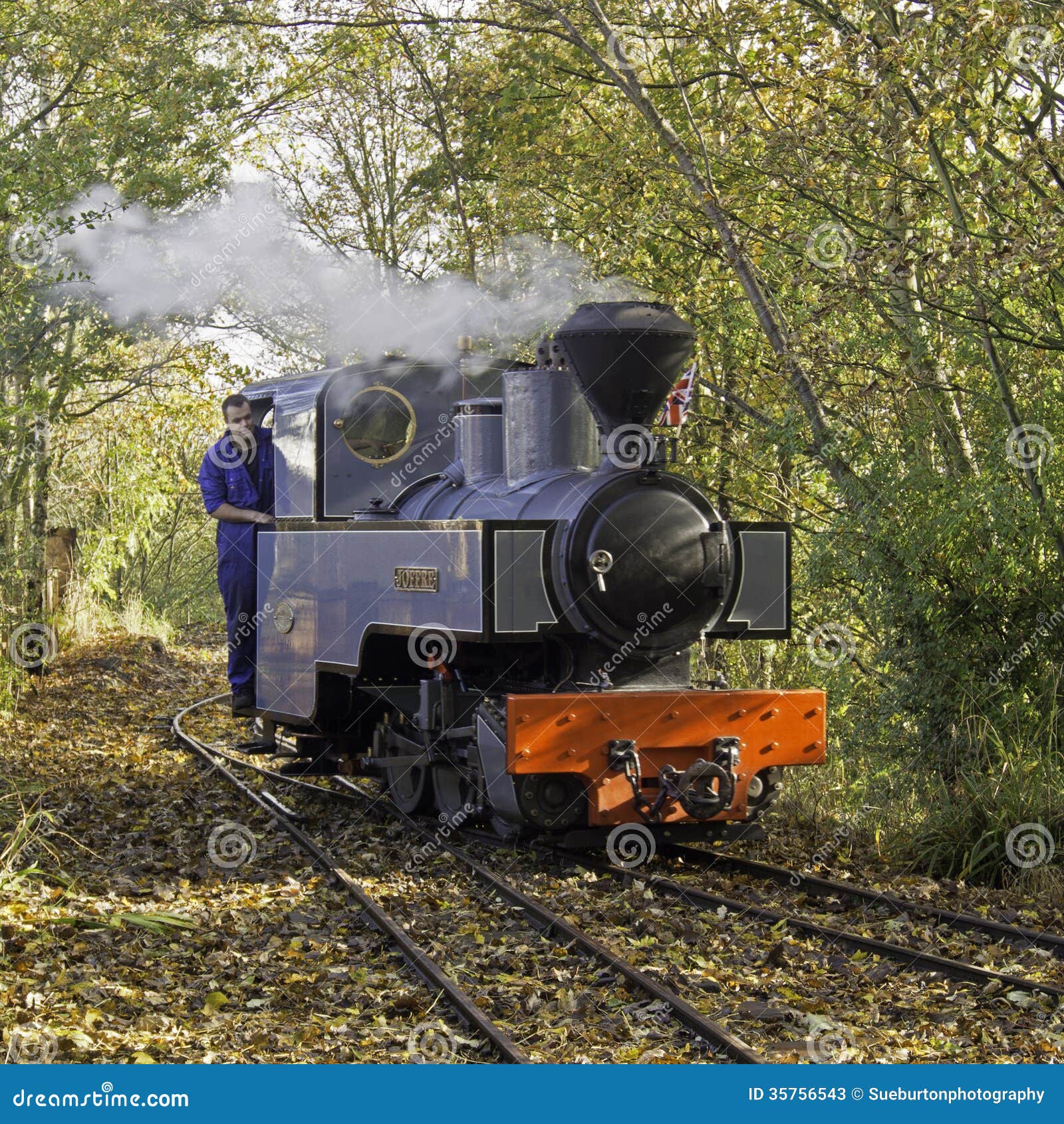 Tren del vapor de WLLR foto de archivo editorial. Imagen de carros ...