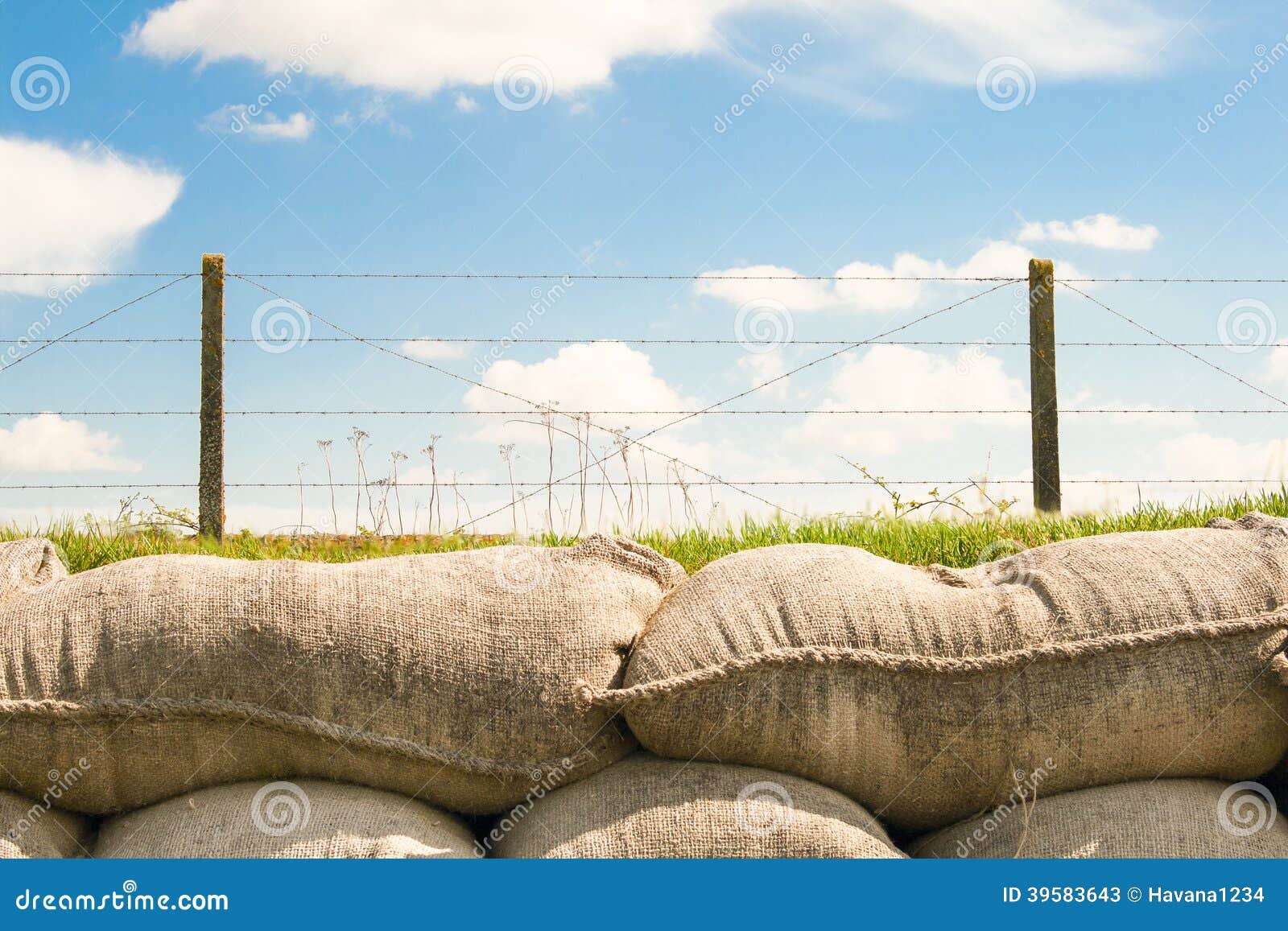 Trench of Death World War 1 Flanders Fields Belgium Stock Image - Image ...