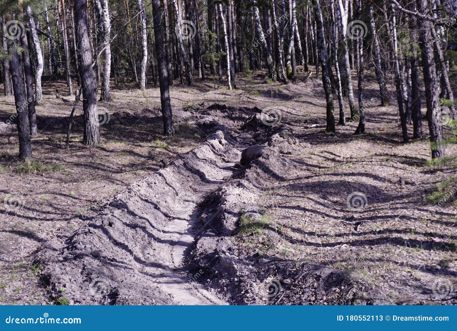 Trench in the forest stock image. Image of wilderness - 180552113