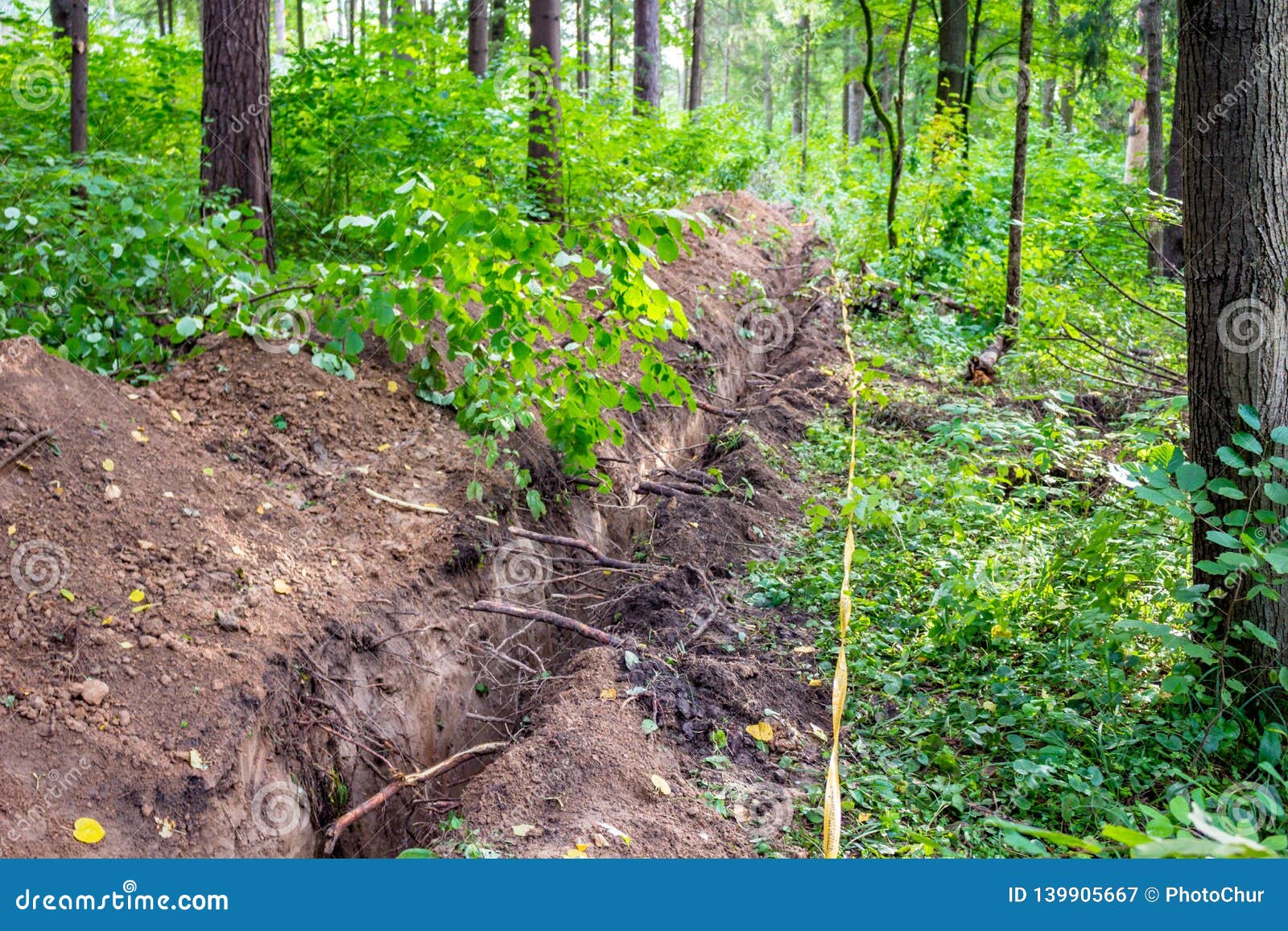 Trench in the forest stock image. Image of electricity - 139905667