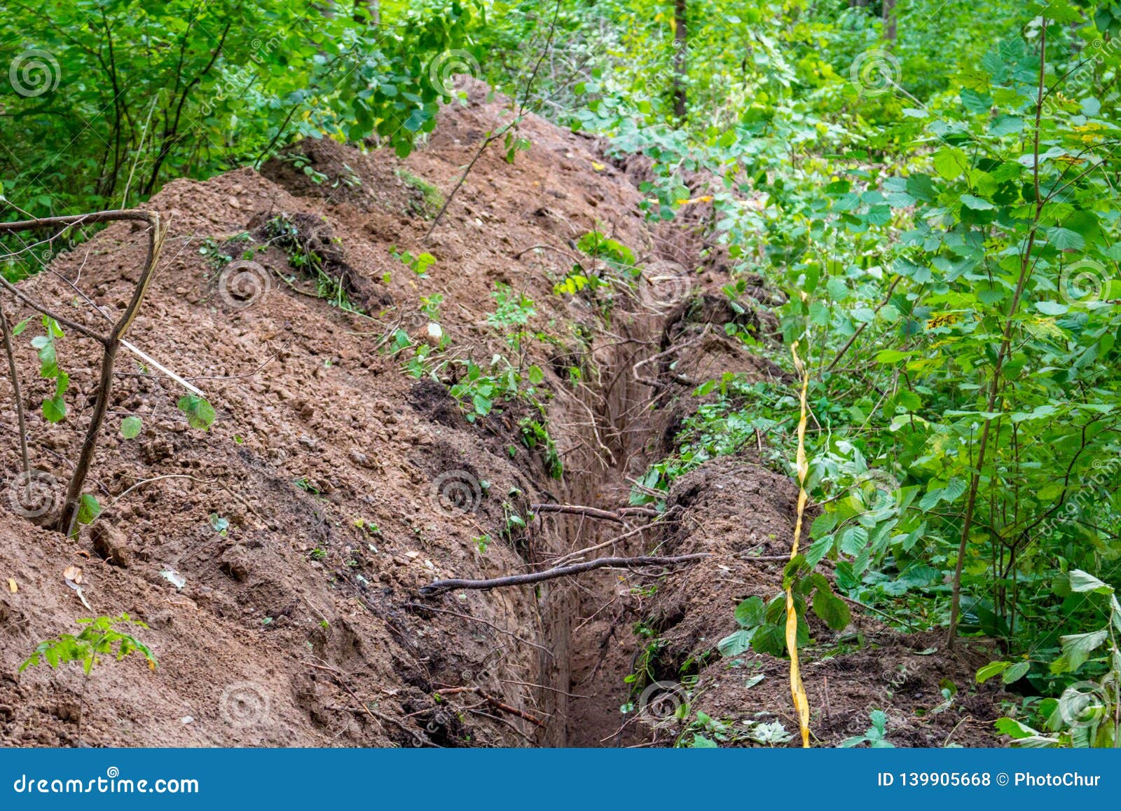 Trench in the forest stock photo. Image of terrain, cable - 139905668