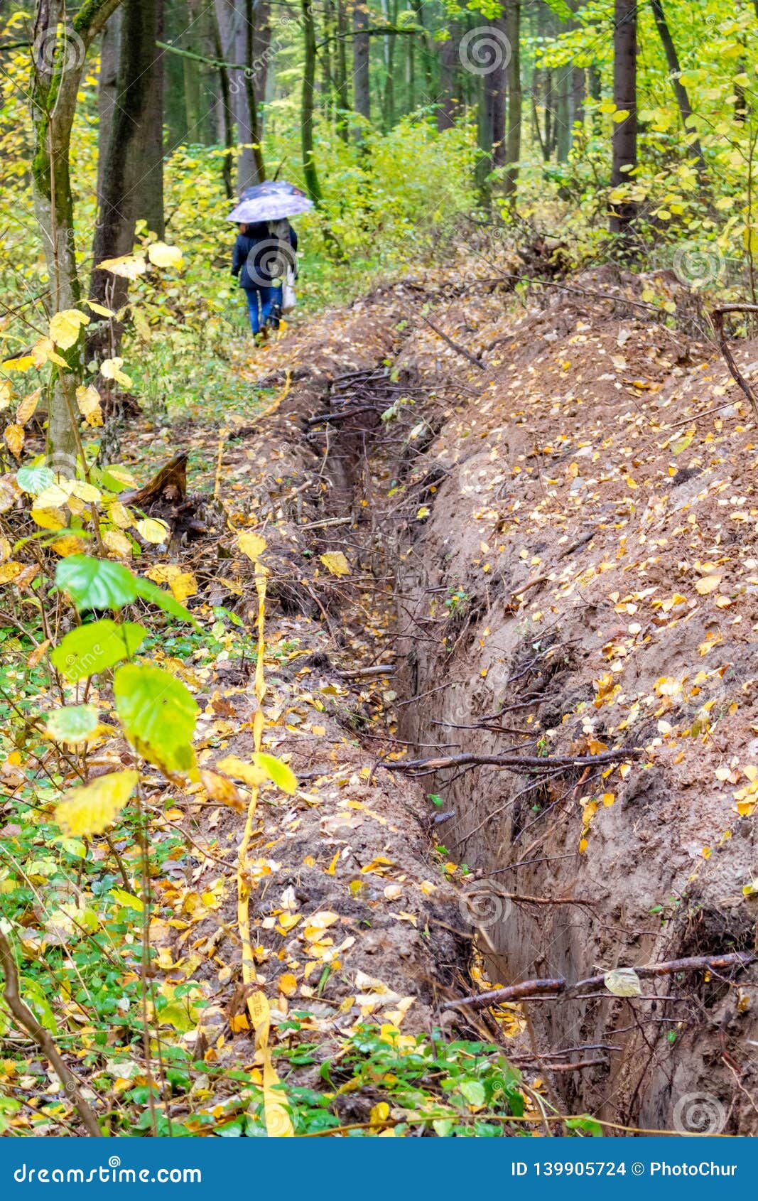 Trench in the forest stock photo. Image of laying, pipeline - 139905724