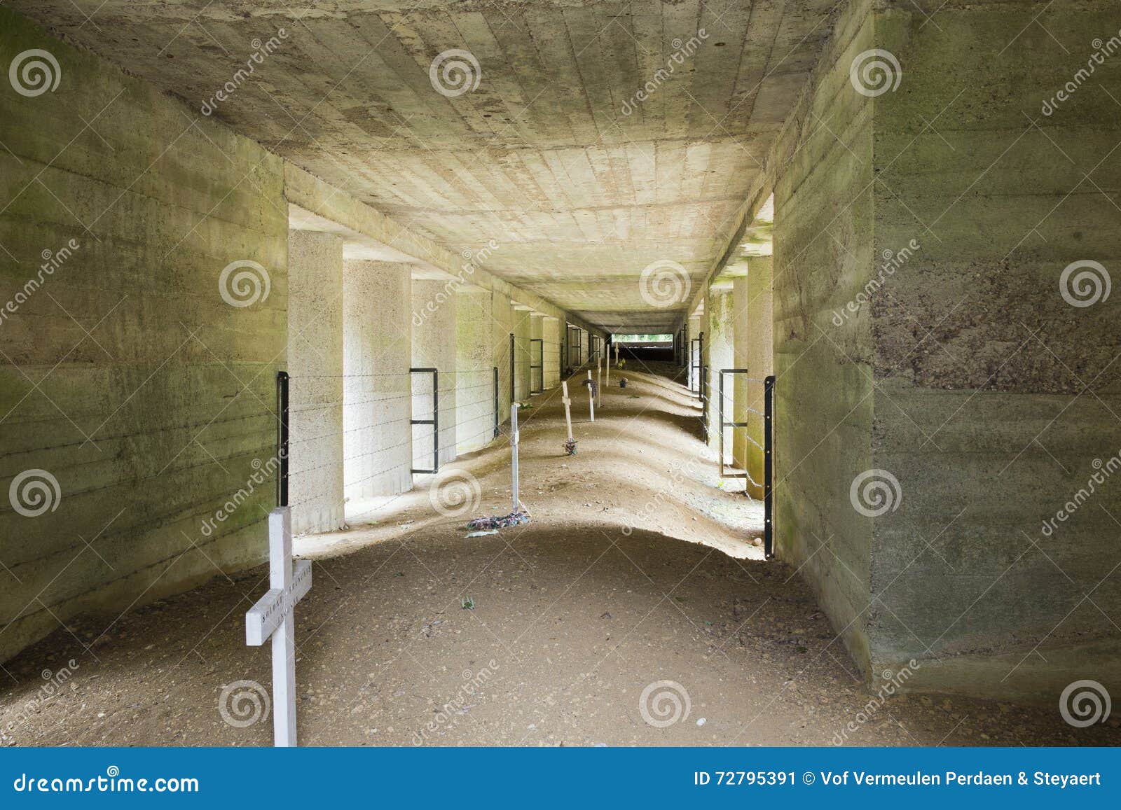 Inside One Of The Big Dig Trenches At The Ice Age Fossils Nevada State ...
