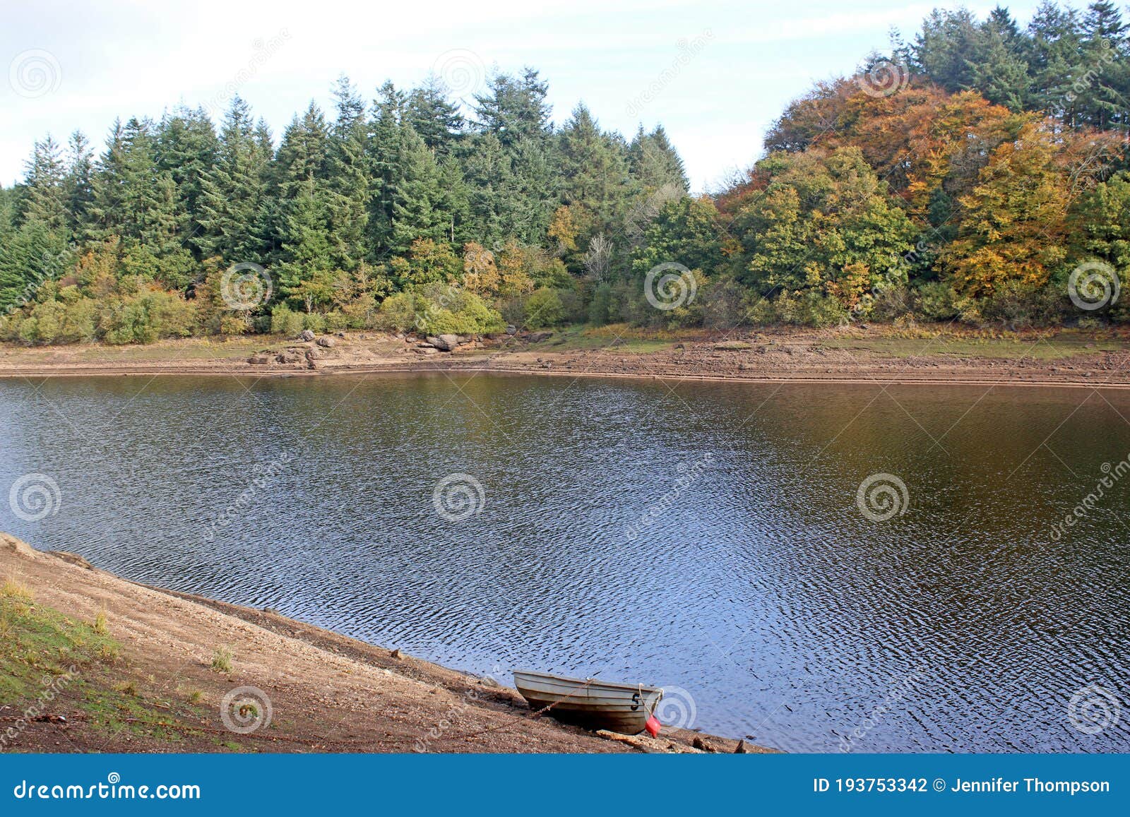 Trenchford Reservoir, Devon, in Autumn Stock Photo - Image of water ...
