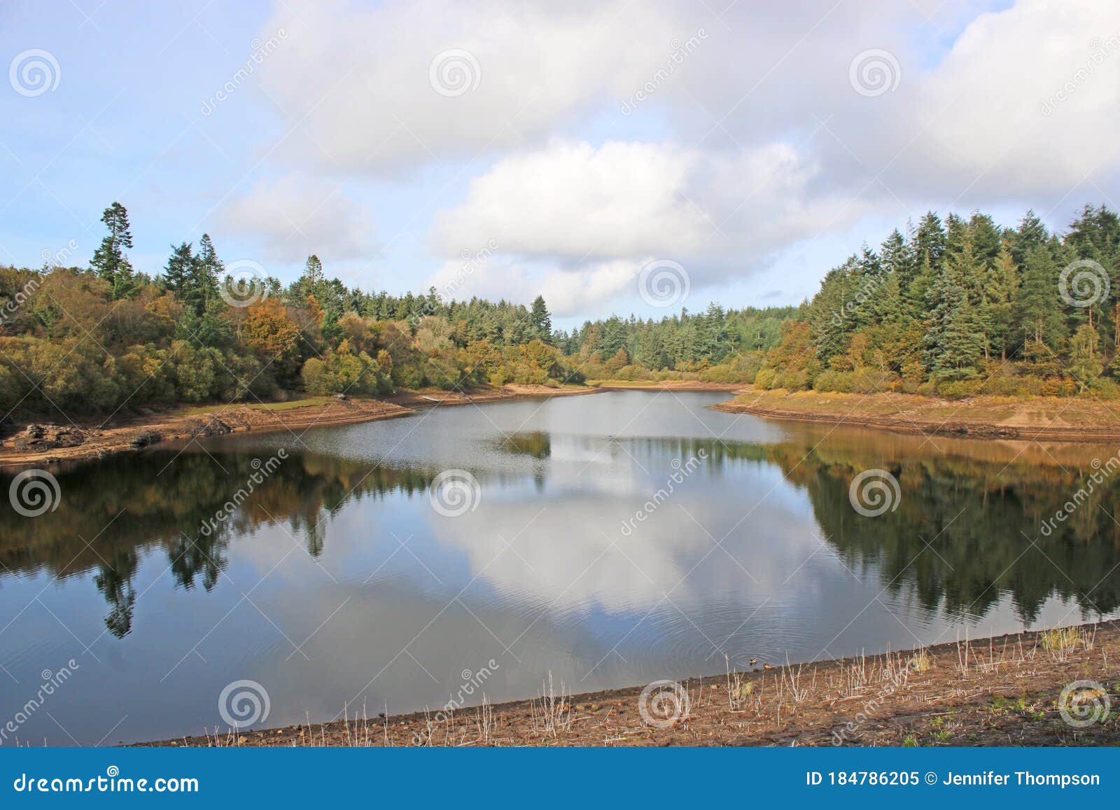 Trenchford Reservoir, Devon, in Autumn Stock Image - Image of scenic ...