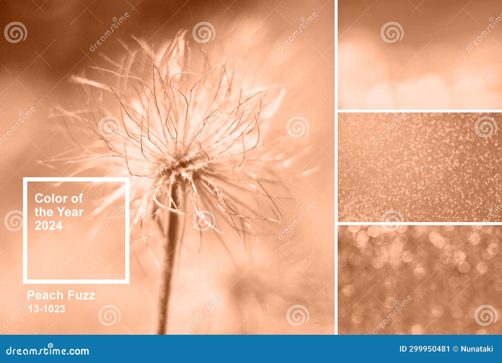 Trendy Color Of Year 2024 Peach Fuzz Trendy Color Palette Sample
