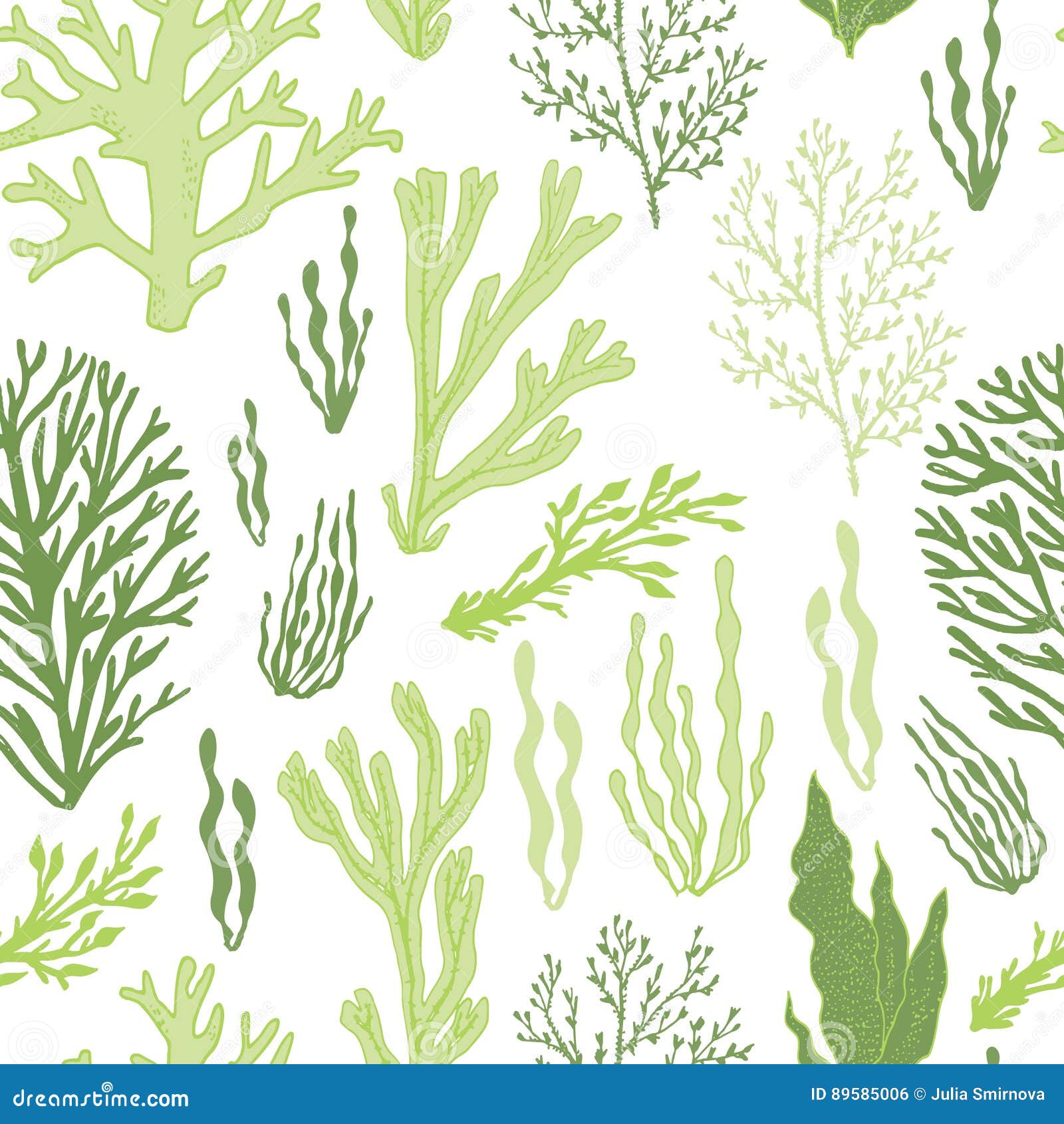 Trendy Summer Seaweed Design. Stock Illustration - Illustration of ...
