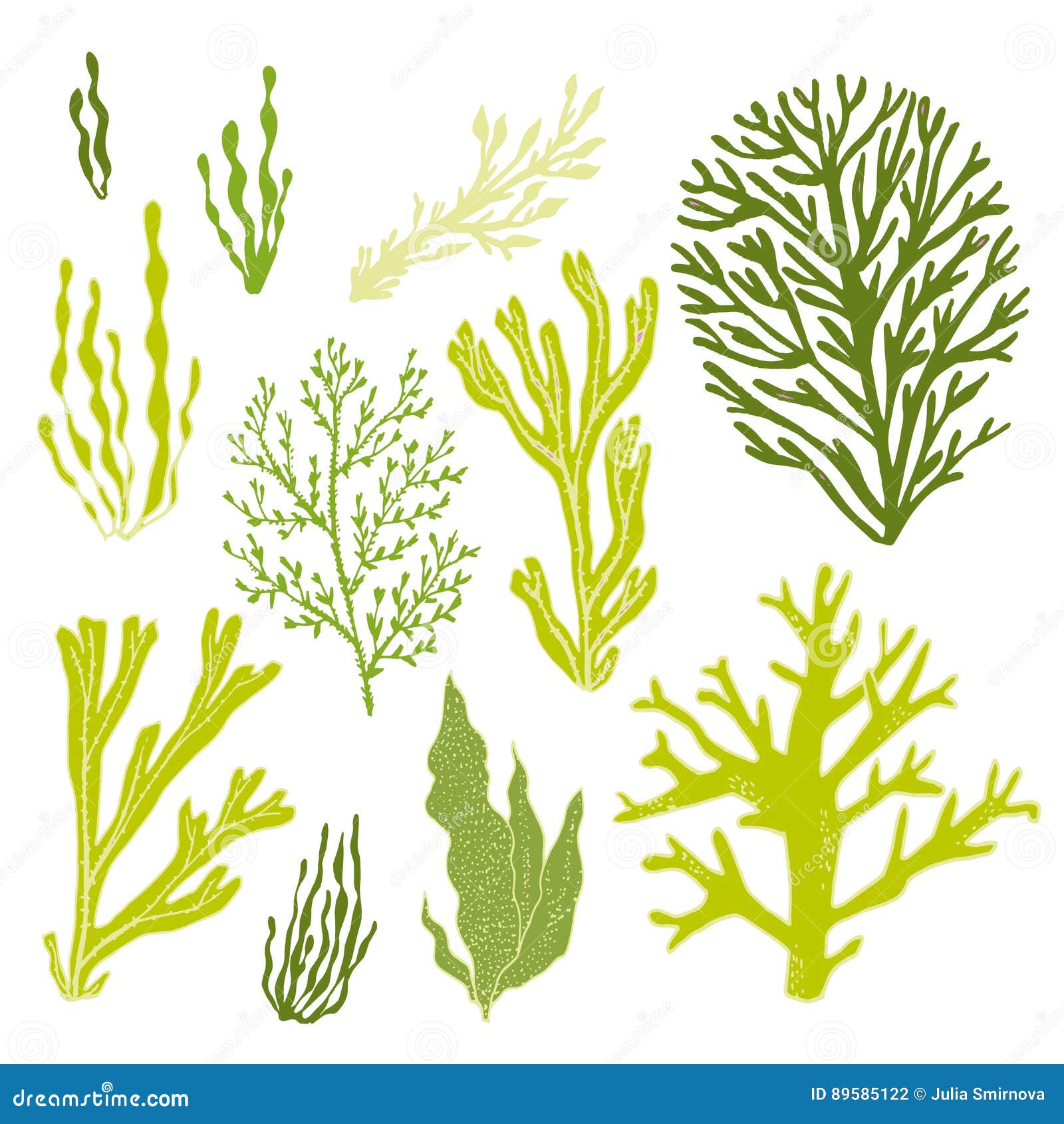 Trendy Summer Seaweed Design. Stock Illustration - Illustration of leaf ...