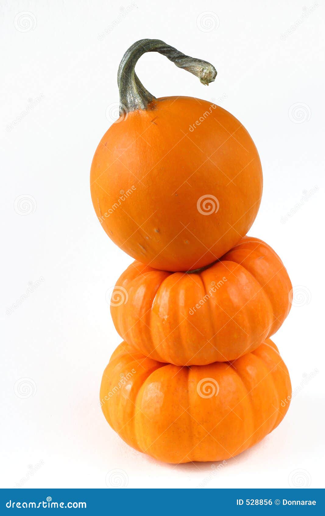 Tres Balancearon Las Mini Calabazas Foto de archivo - Imagen de ...