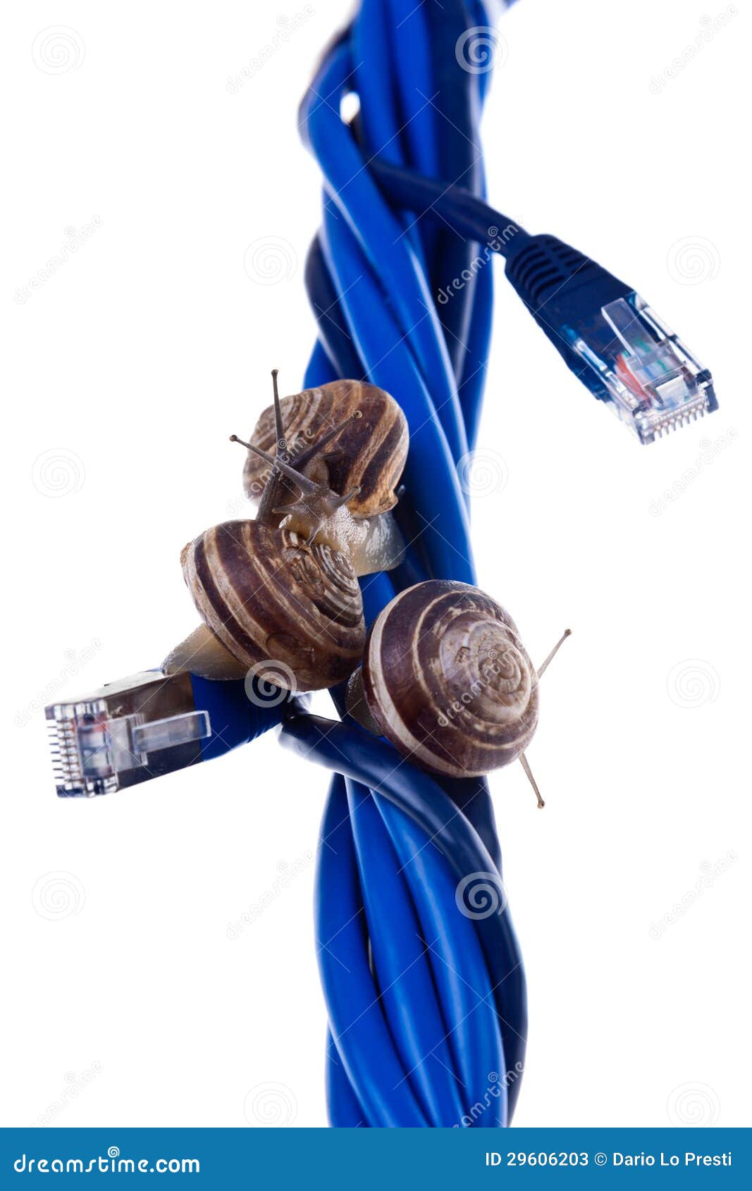 Tres Caracoles En Los Cables Azules Imagen de archivo - Imagen de ...