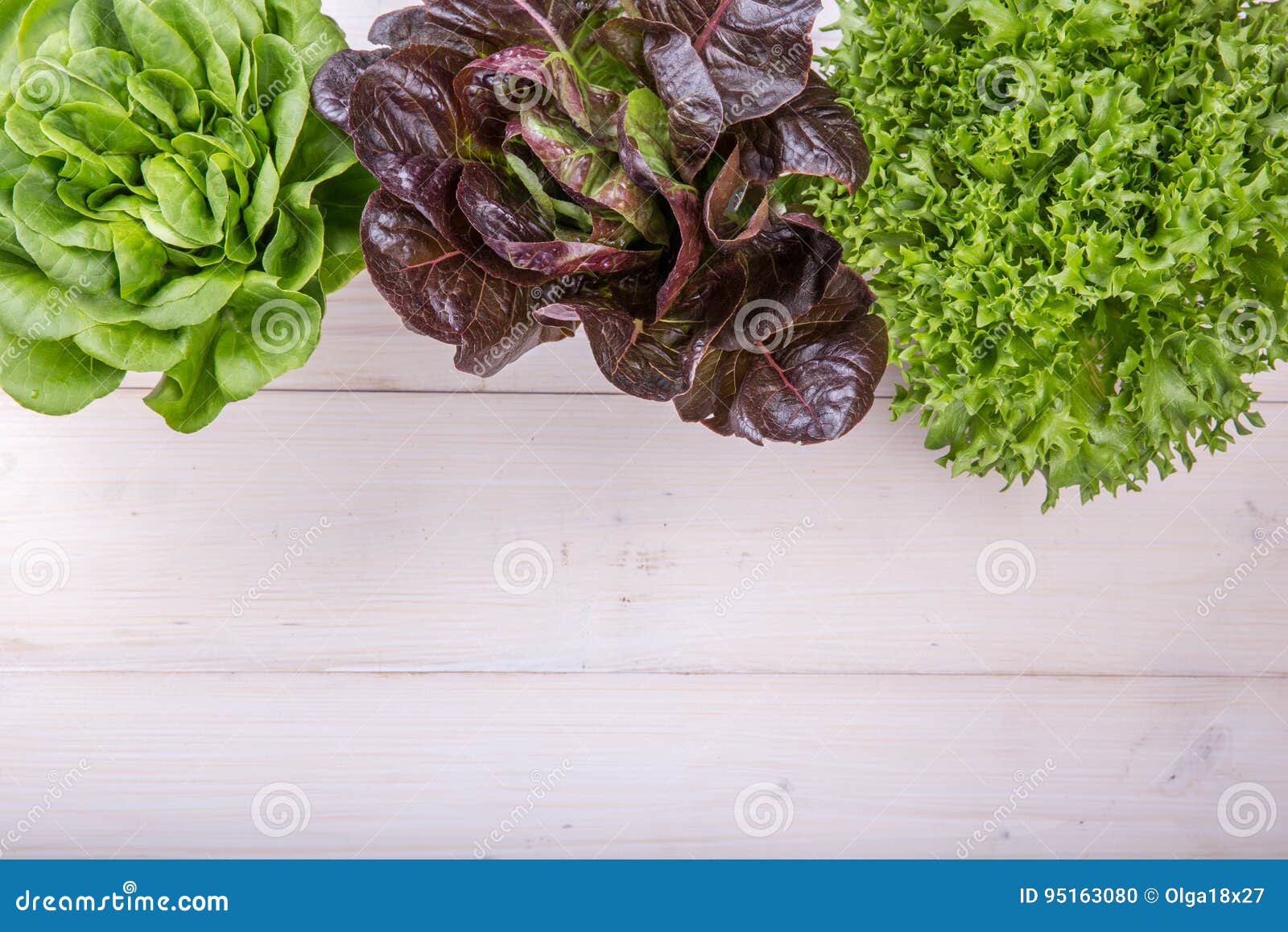 Tres clases de lechuga foto de archivo. Imagen de comer - 95163080