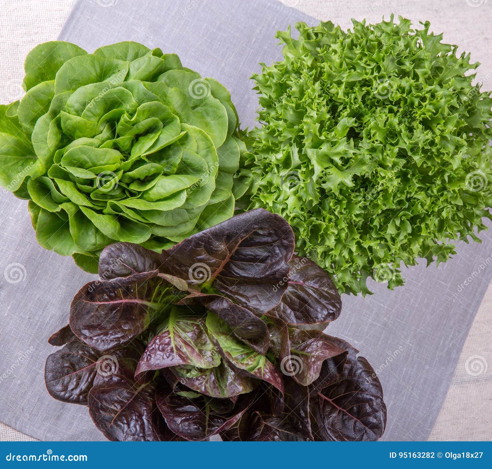Tres clases de lechuga foto de archivo. Imagen de ingrediente - 95163282