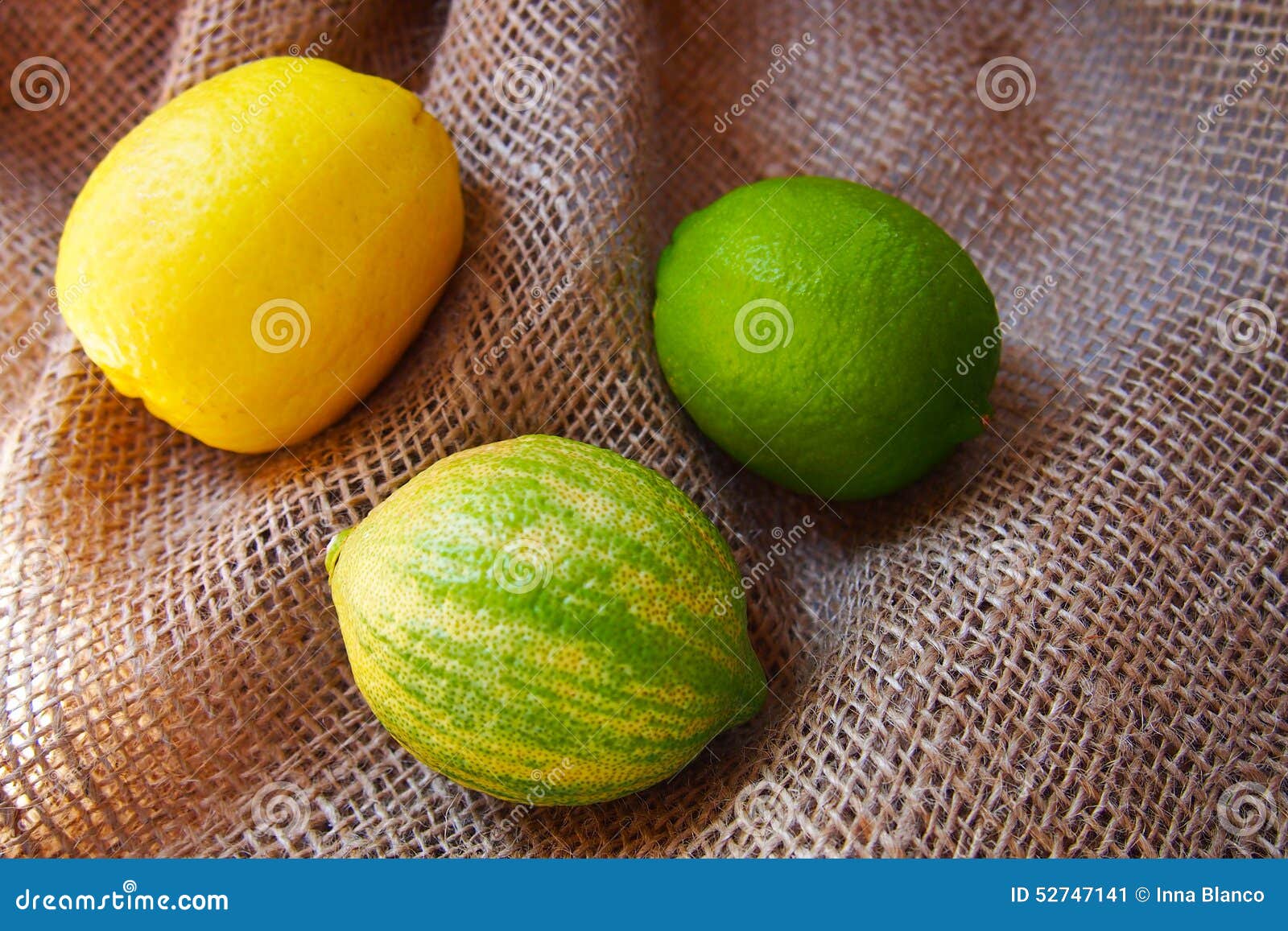 Tres Diversos Tipos De Limones, España Imagen de archivo - Imagen de ...