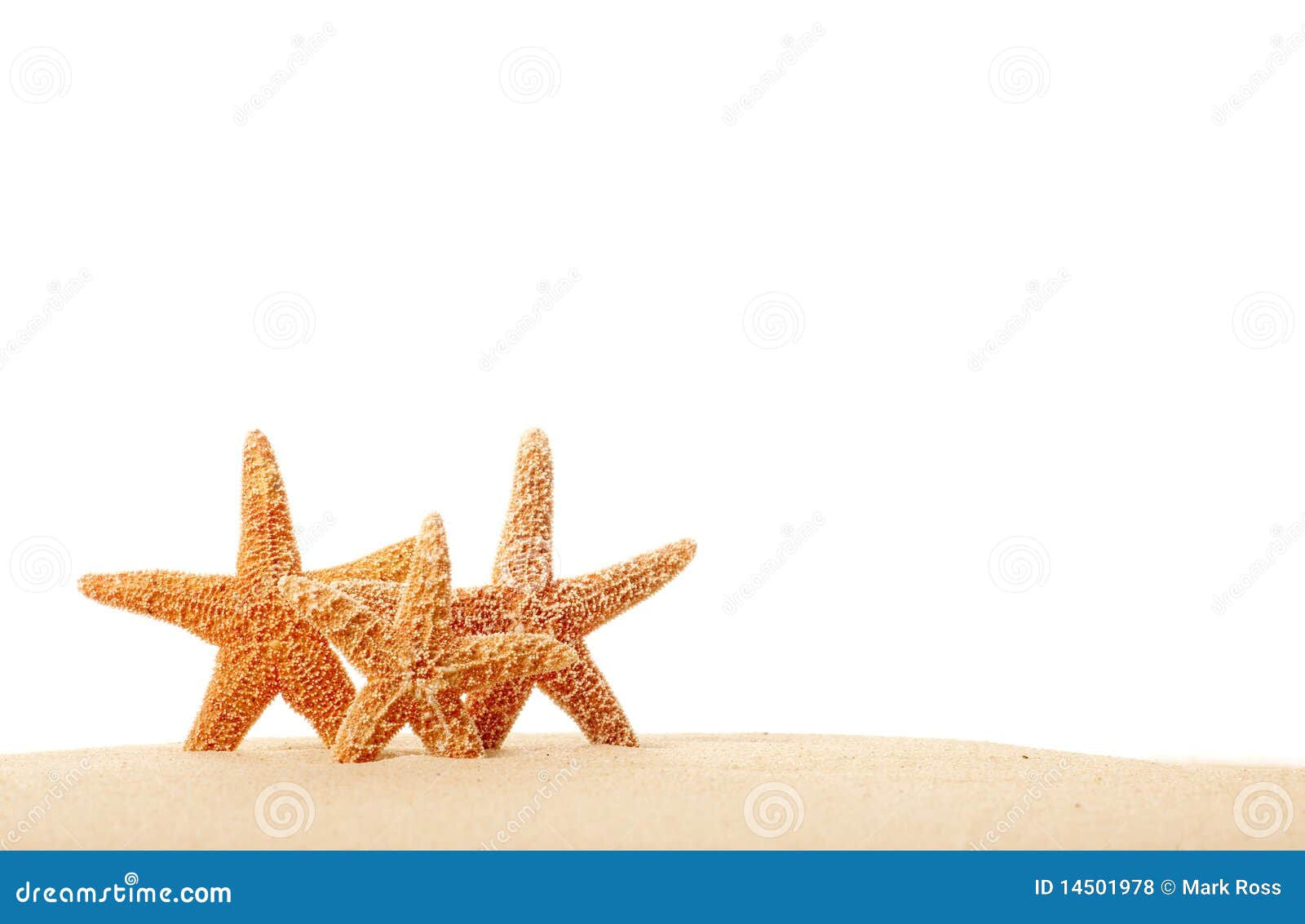 Tres Estrellas De Mar En La Arena Foto de archivo - Imagen de arena ...