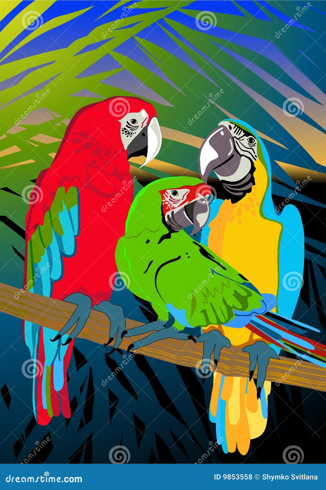 Tres loros stock de ilustración. Ilustración de fauna - 9853558