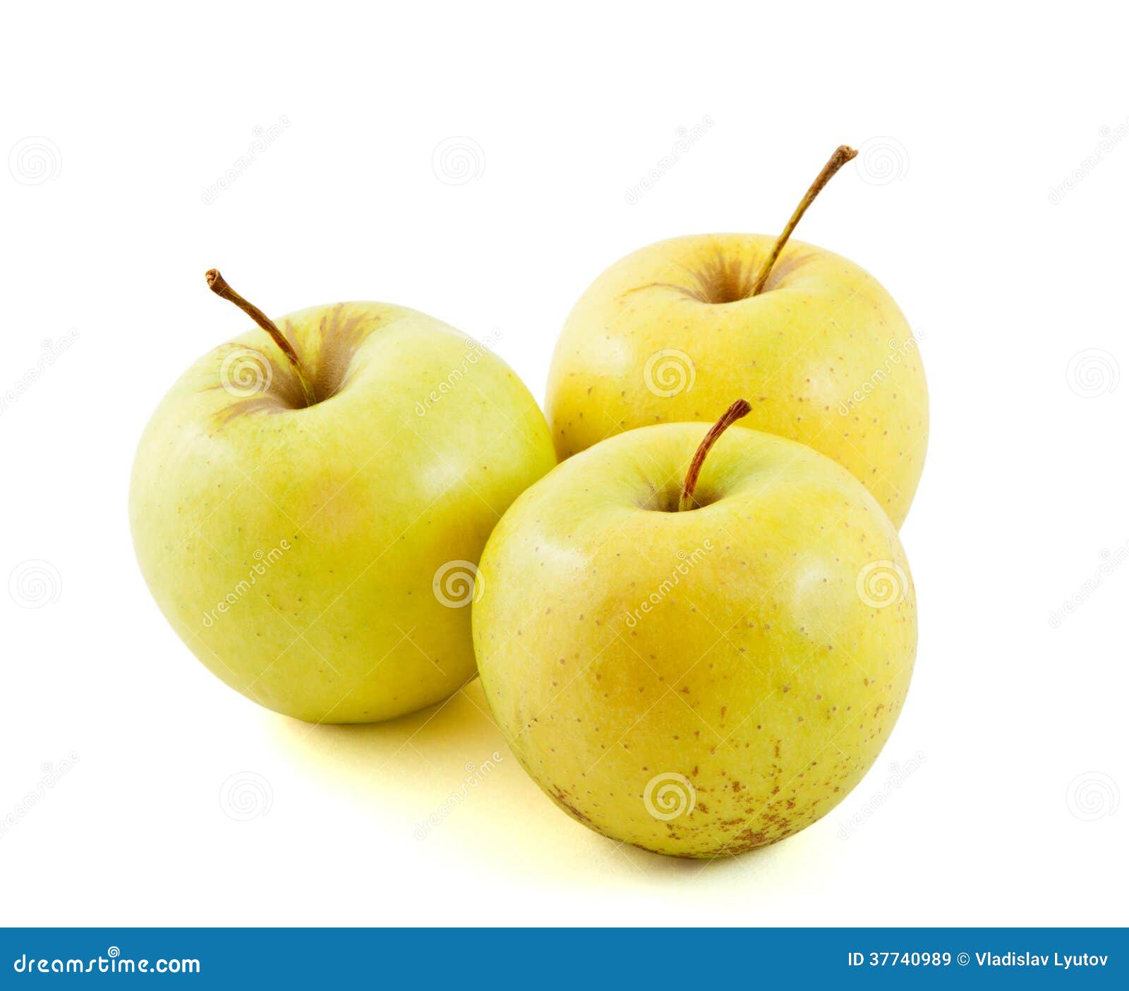 Tres Manzanas "golden Delicious" Imagen de archivo - Imagen de fruta ...