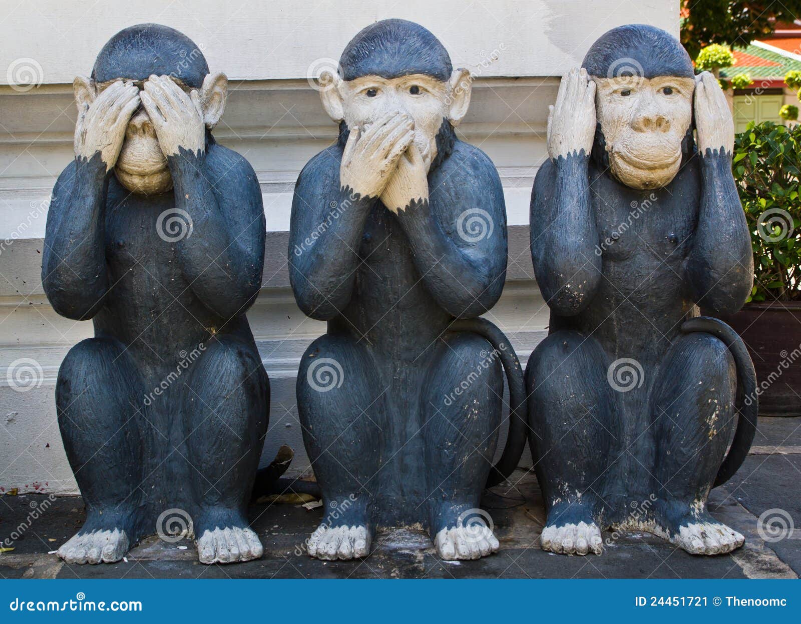 Tres monos sabios imagen de archivo. Imagen de chimpancé - 24451721