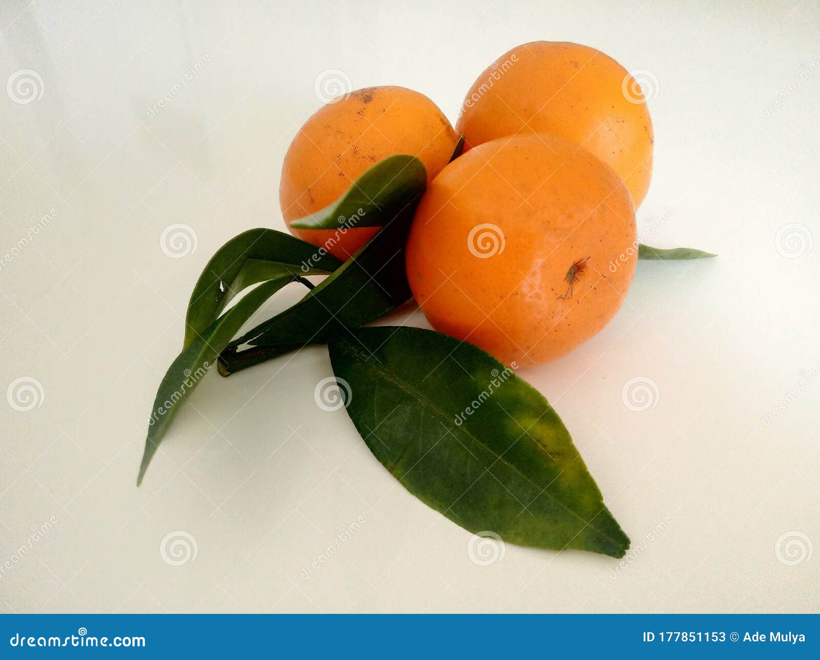Tres Naranjas En La Mesa Para Ti Imagen de archivo - Imagen de ...