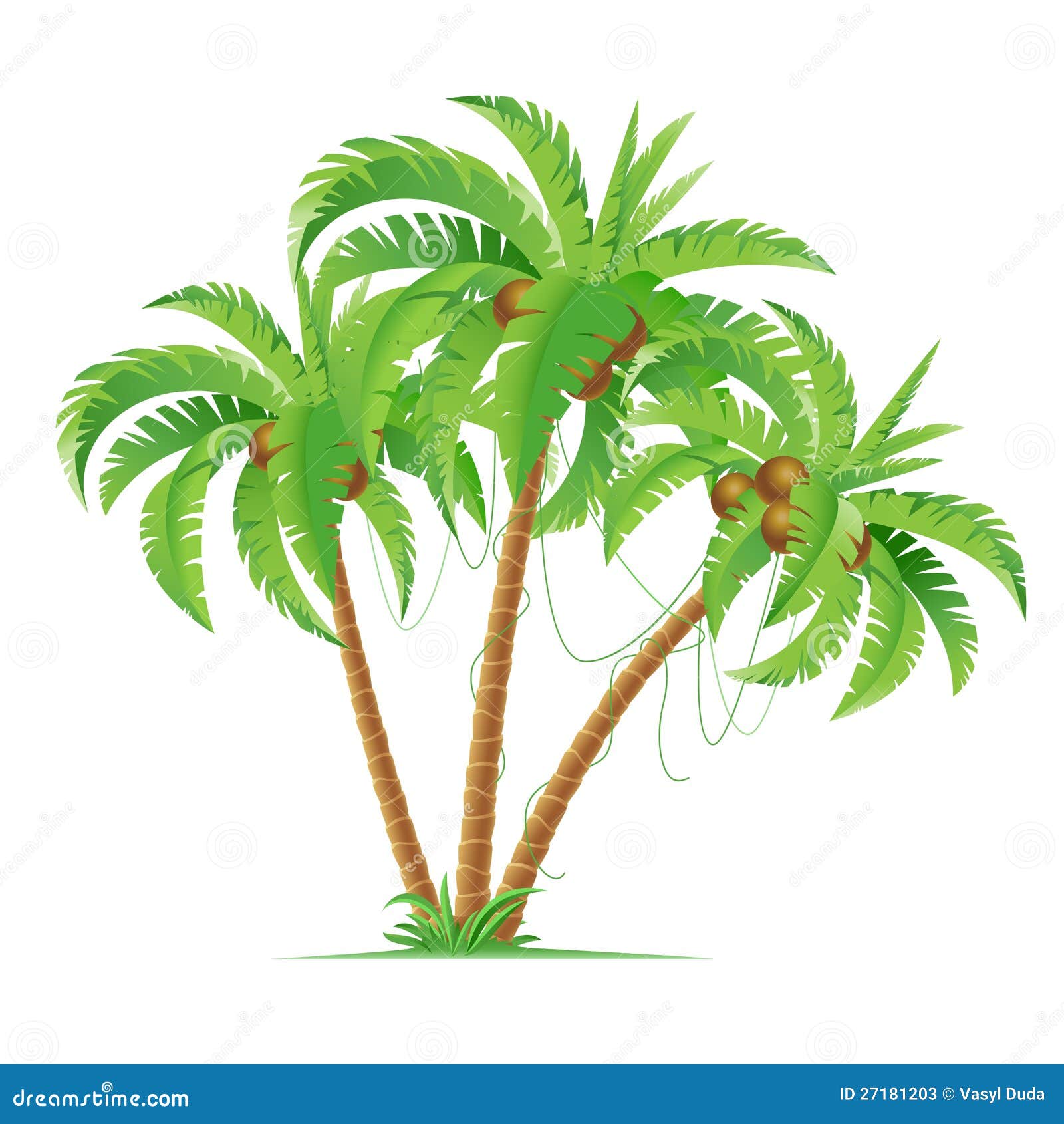 Tres palmas de coco ilustración del vector. Ilustración de belleza ...