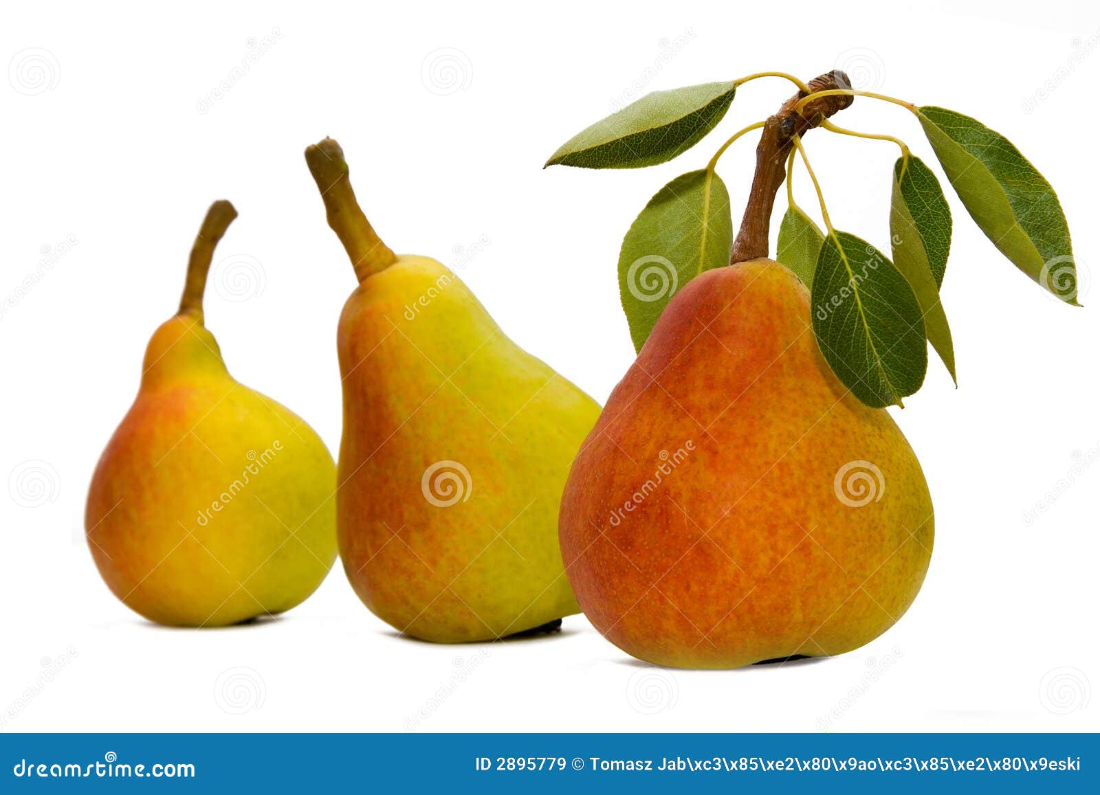 Tres peras imagen de archivo. Imagen de producto, cubo - 2895779